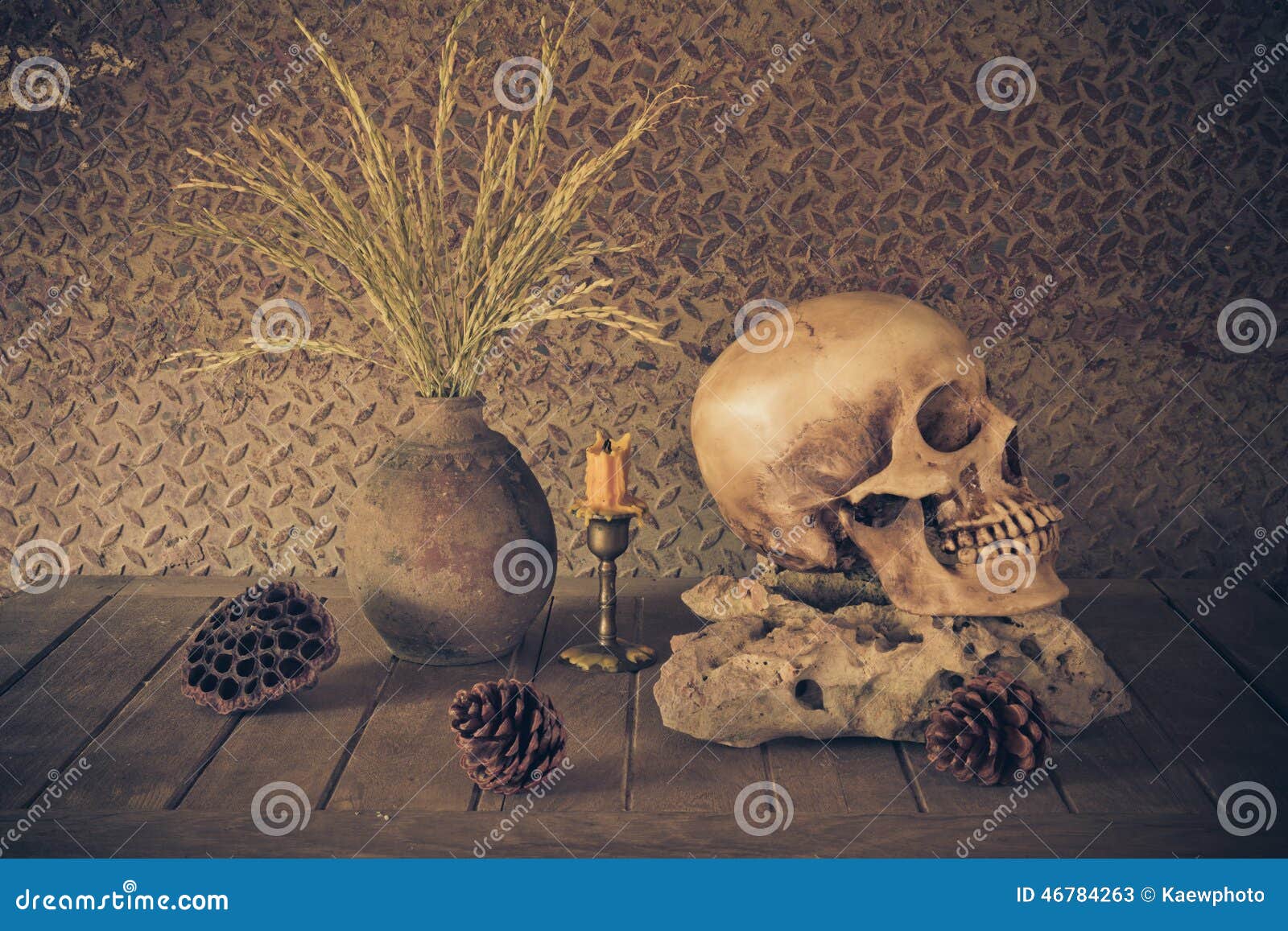 Still Life with a Skull. stock image. Image of master - 46784263