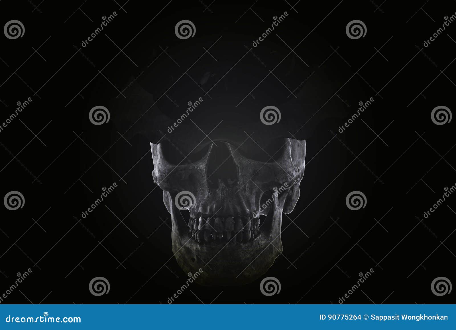 Still life skull dark tone stock photo. Image of graveyard - 90775264
