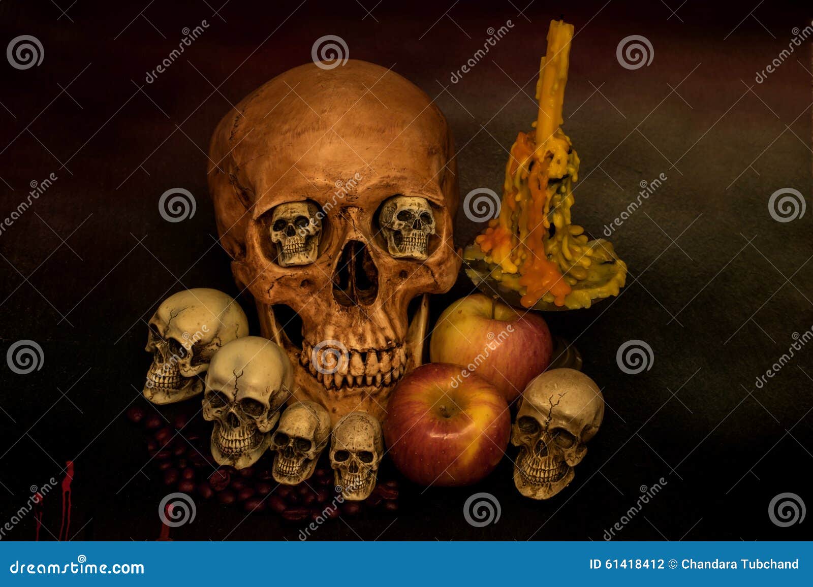Still life with skull stock photo. Image of death, halloween - 61418412