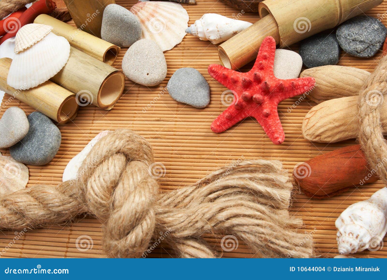 Still-life spa stock photo. Image of nature, natural - 10644004