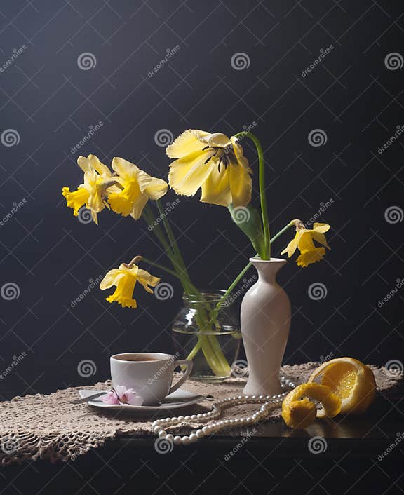 Still life stock photo. Image of decoration, still, plant - 71093296