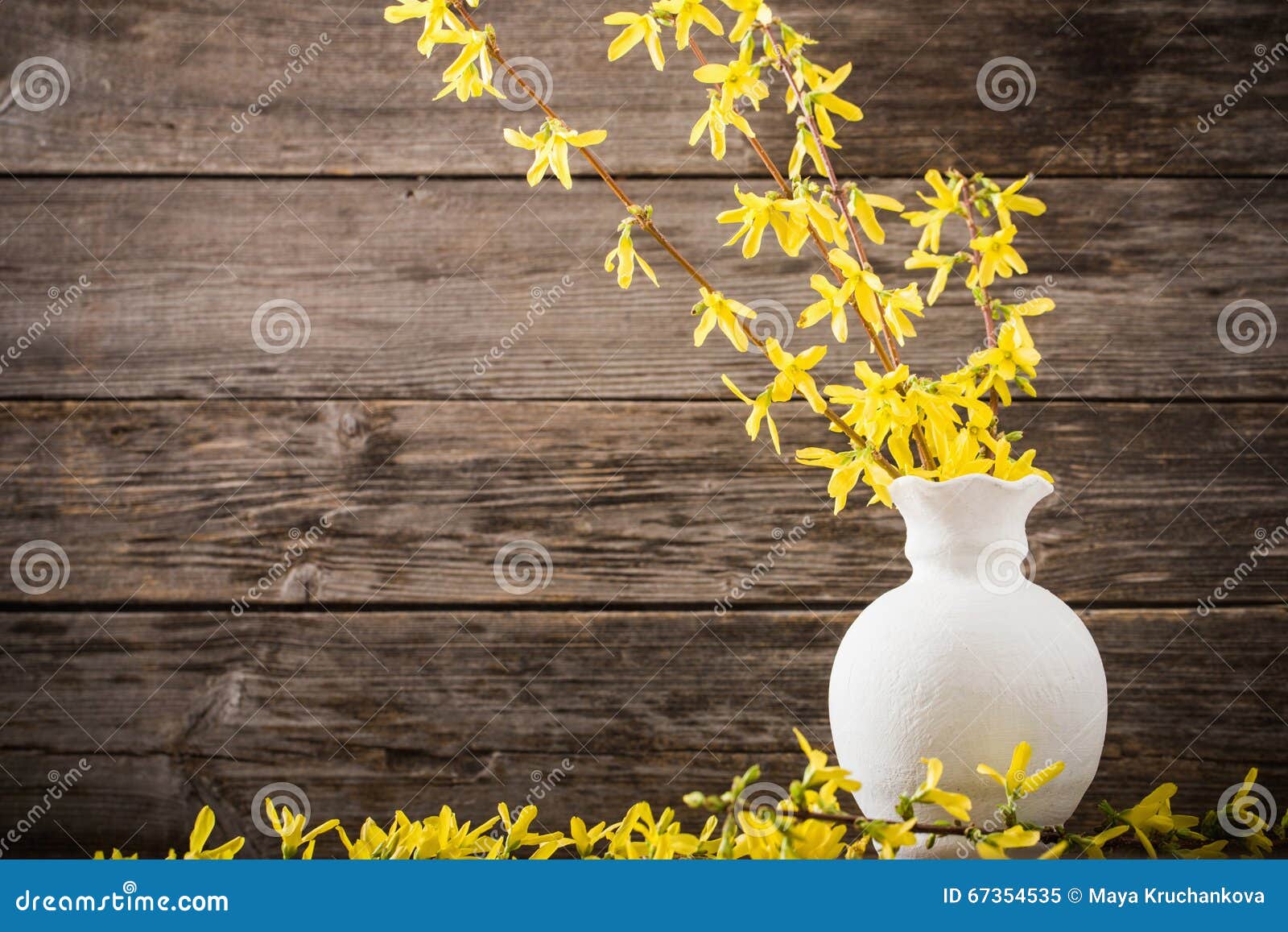 Still Life with Spring Flowers Stock Image - Image of march, branch ...