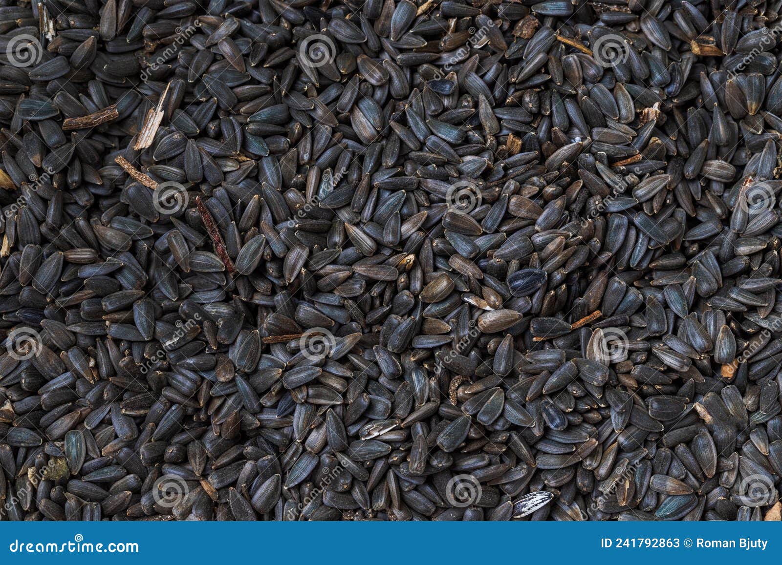 Still Life of Sunflower Seeds on the Whole Surface Stock Image - Image ...