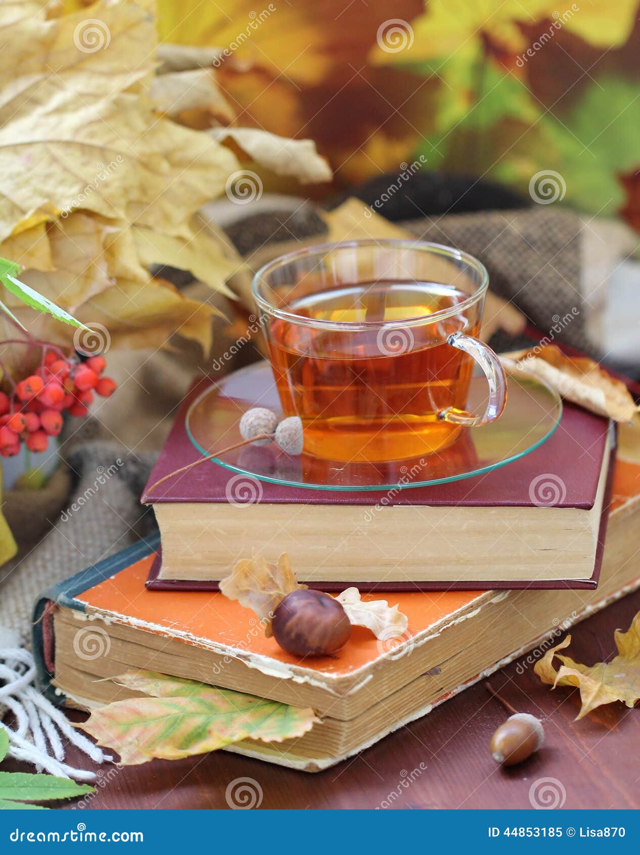 Still Life with Tea, Books and Leaves in Autumn Stock Image - Image of ...