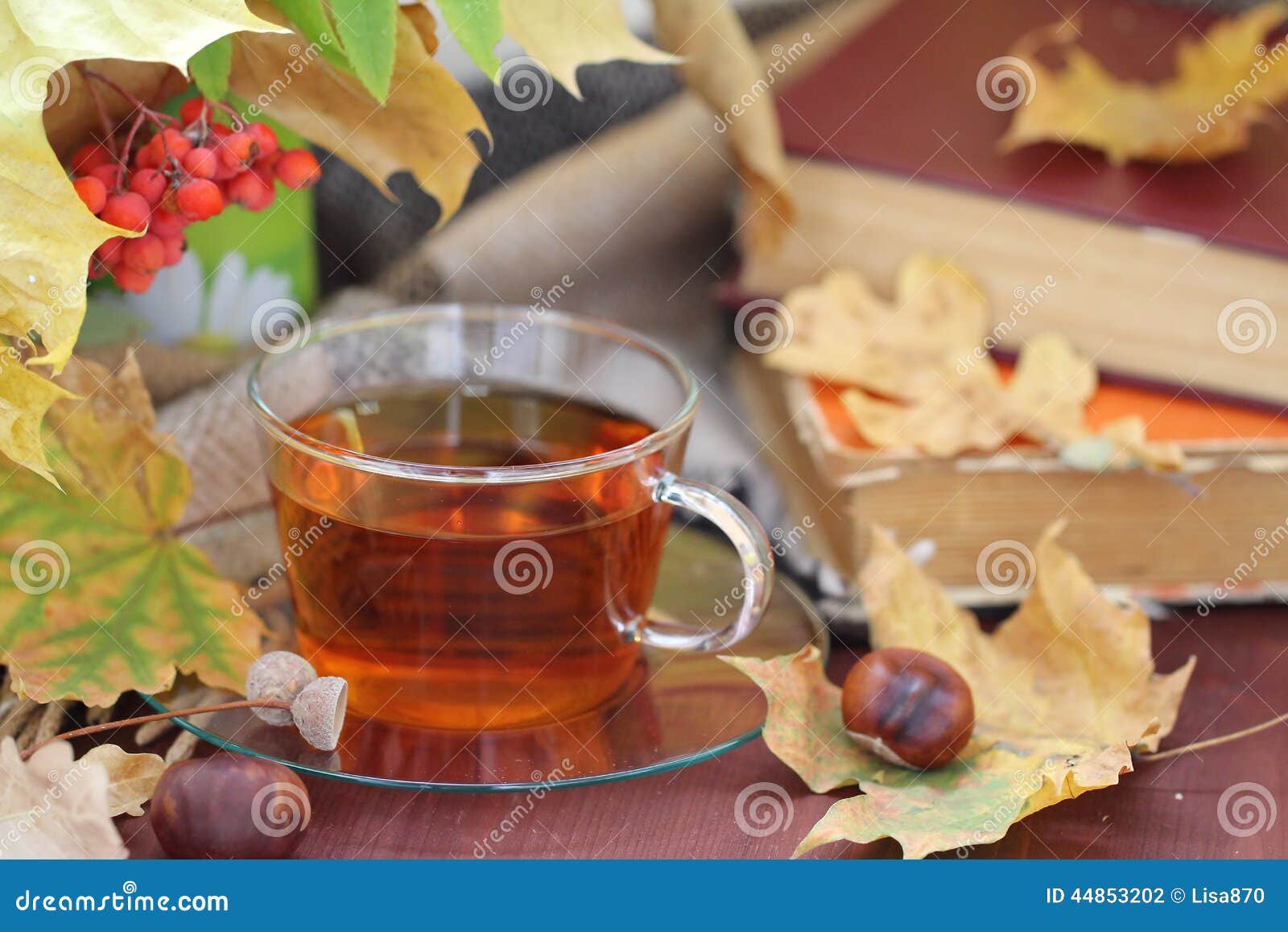Still Life with Tea, Books and Leaves in Autumn Stock Photo - Image of ...