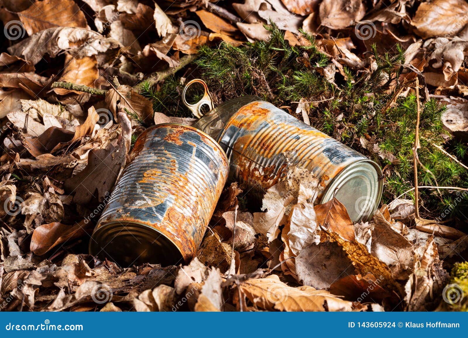 Tin Can Waste on Forest Floor Closeup Stock Photo - Image of earth ...