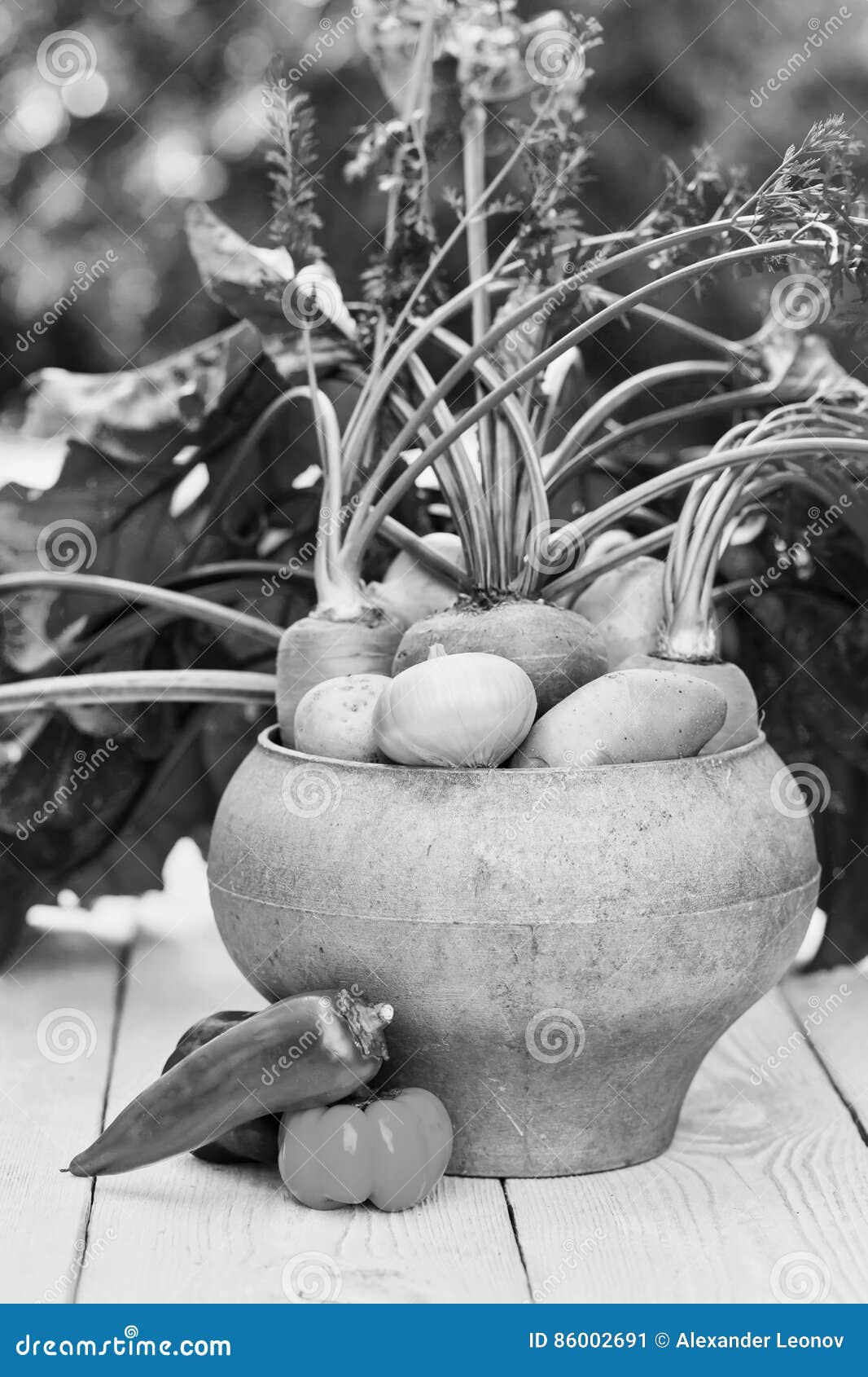 Still Life of of Vegetable Root Crop Stock Image - Image of plant, ripe ...