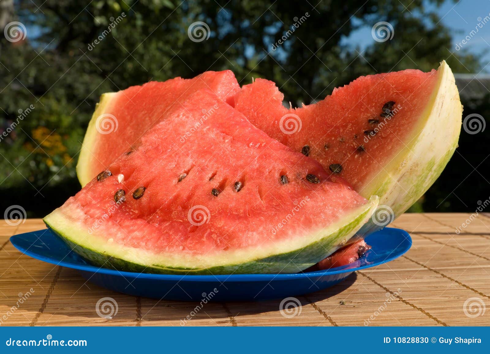 Still life with watermelon stock photo. Image of vegetarian - 10828830