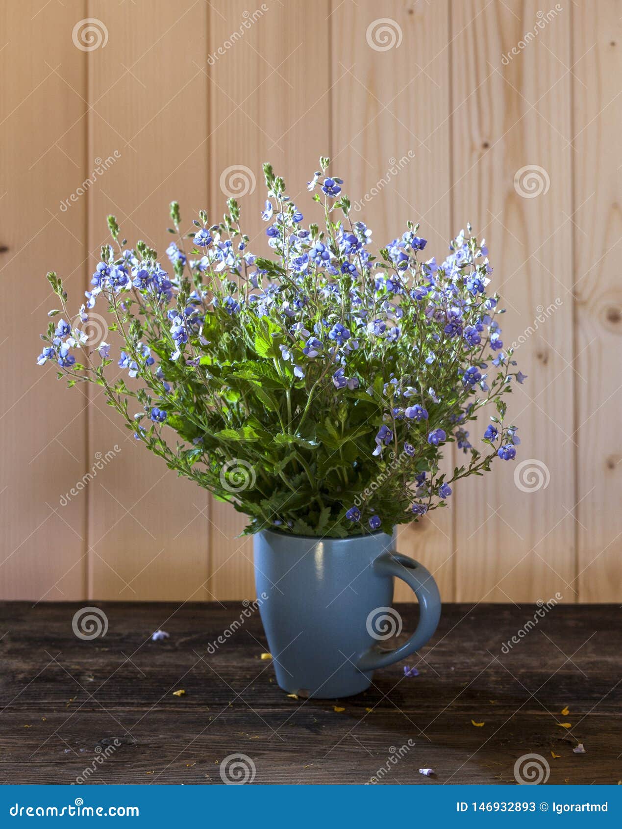 Still Life with Wild Flowers, Spring Time Stock Image - Image of style ...
