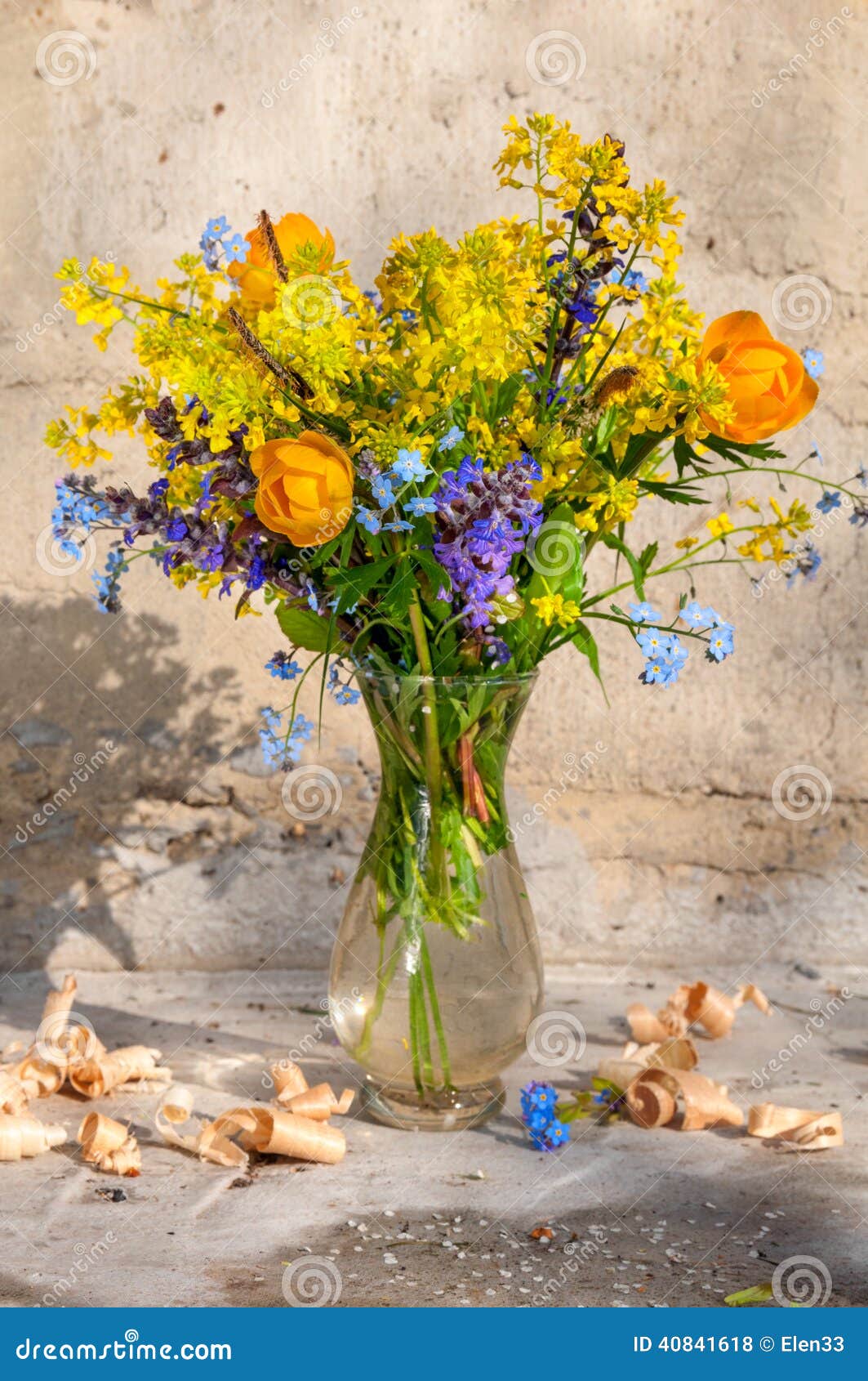 Still life stock photo. Image of plant, decoration, flower - 40841618