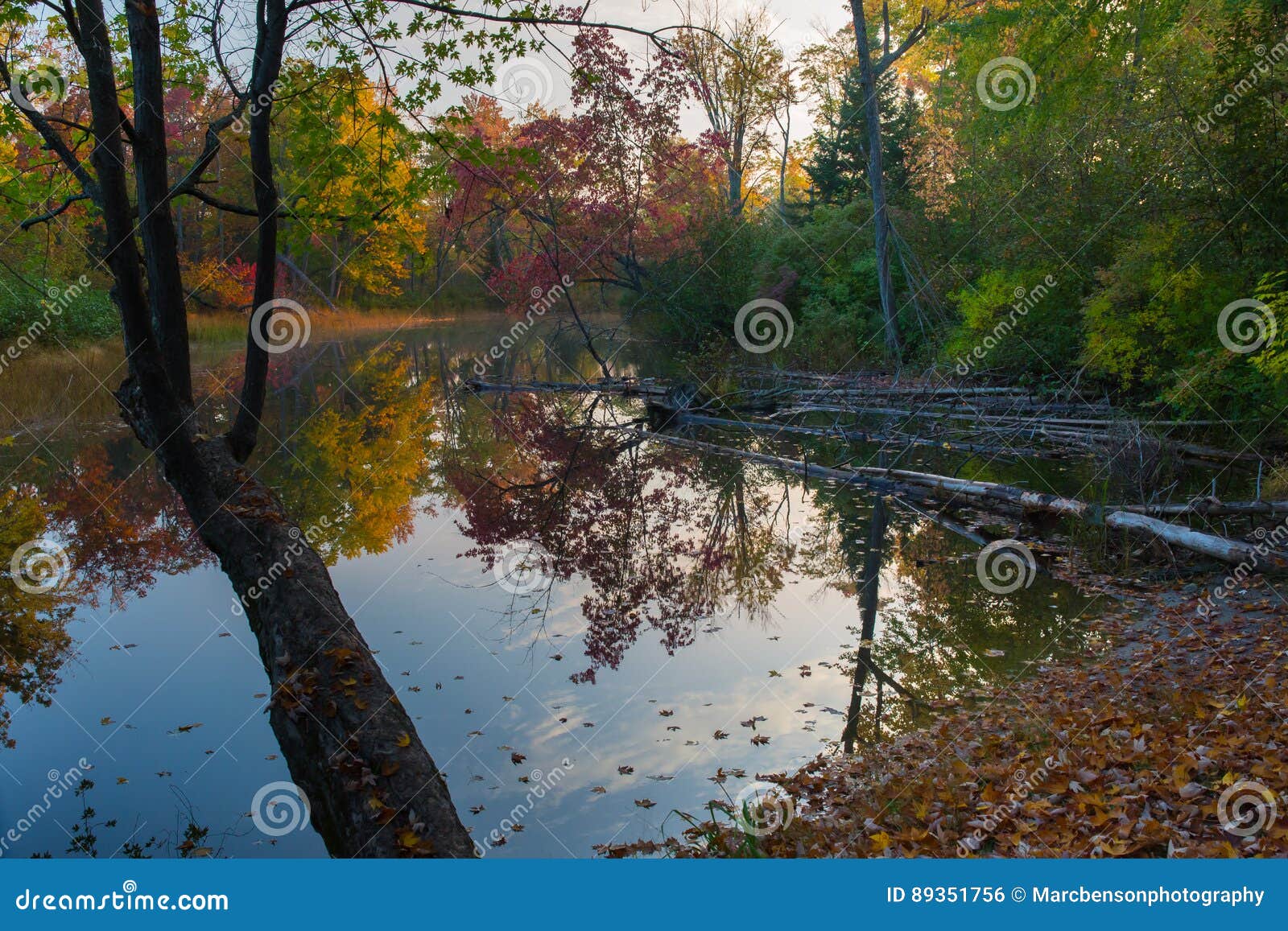 Still River stock photo. Image of ontario, fall, still - 89351756