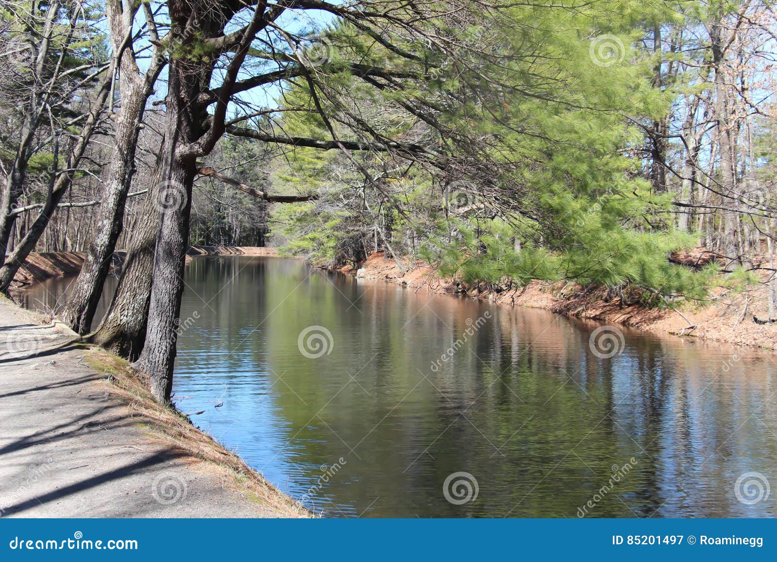 A still river stock image. Image of river, break, daytime - 85201497