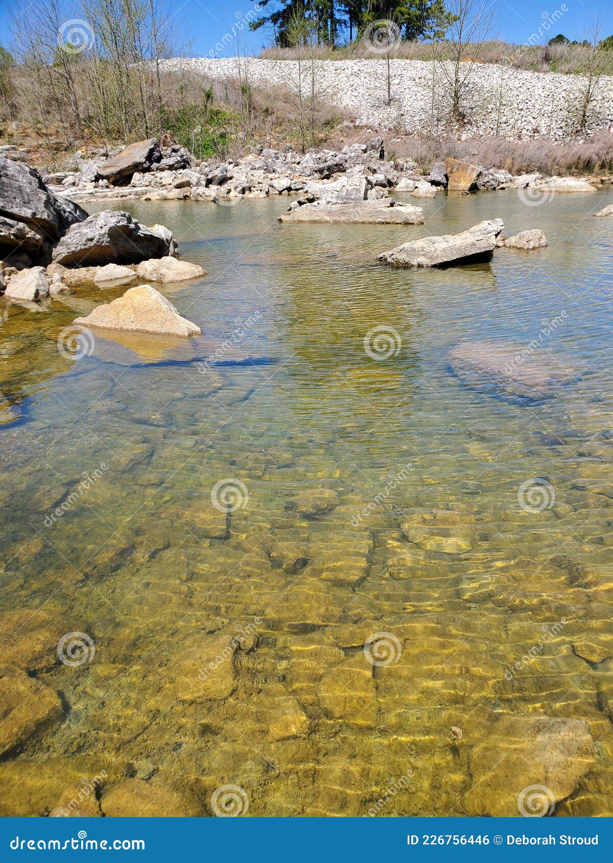 Still stream stock photo. Image of terrain, wood, tree - 226756446