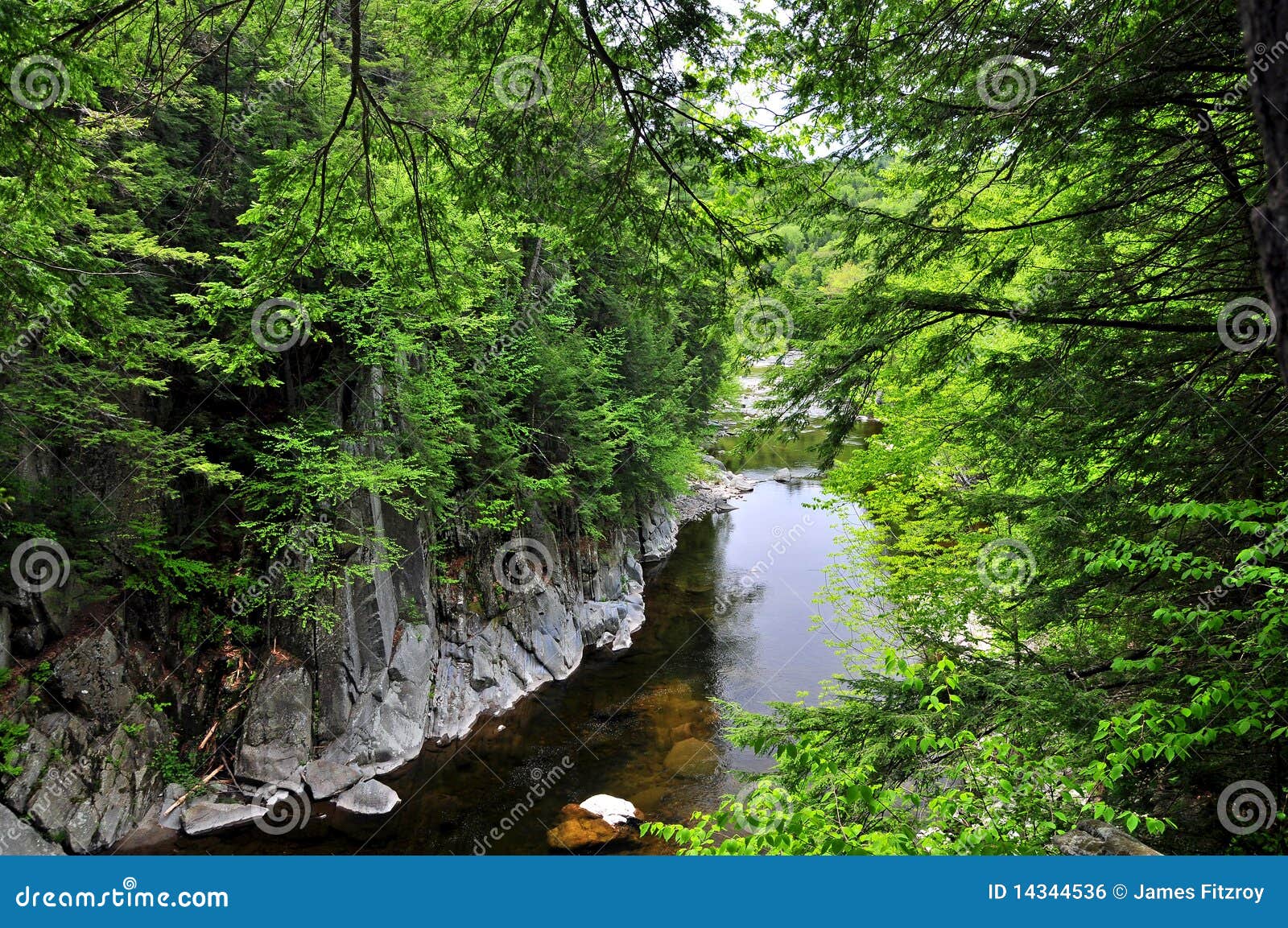 Still Water Gorge stock photo. Image of gorge, country - 14344536