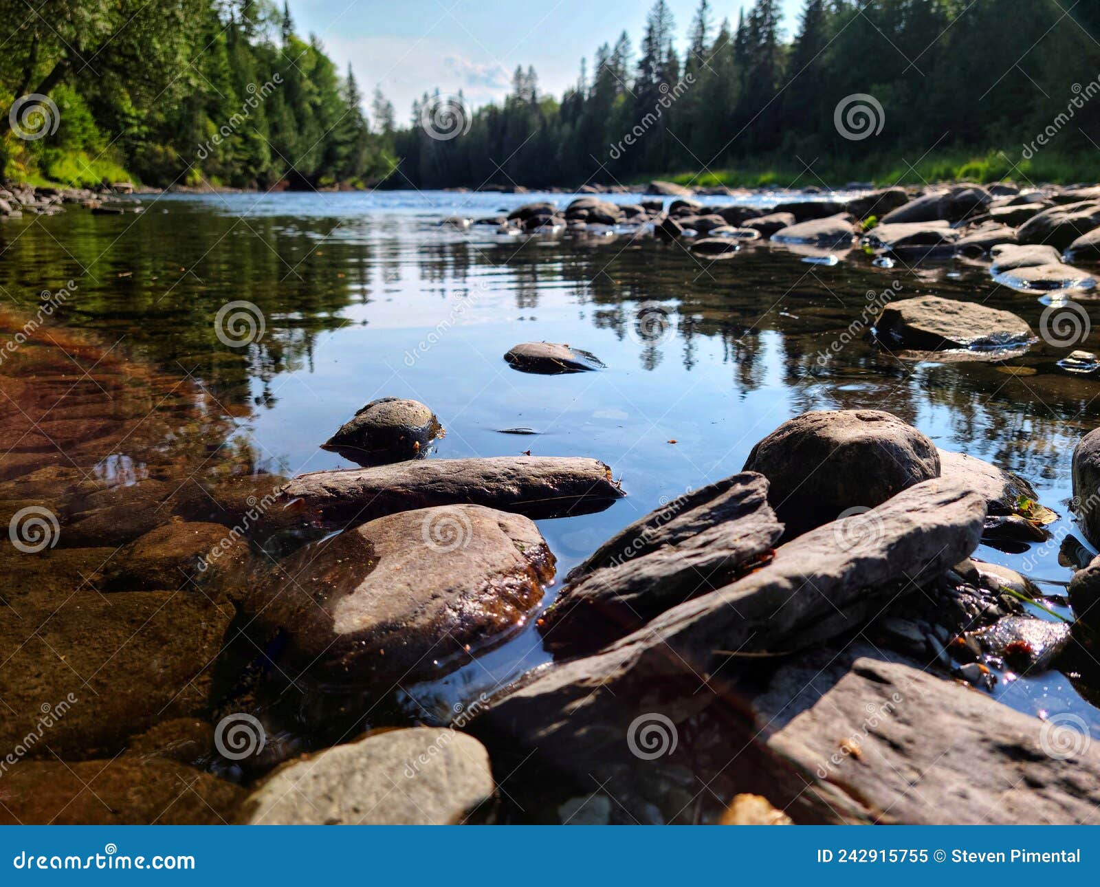 Still Water beside the Raging River Stock Image - Image of rapid ...