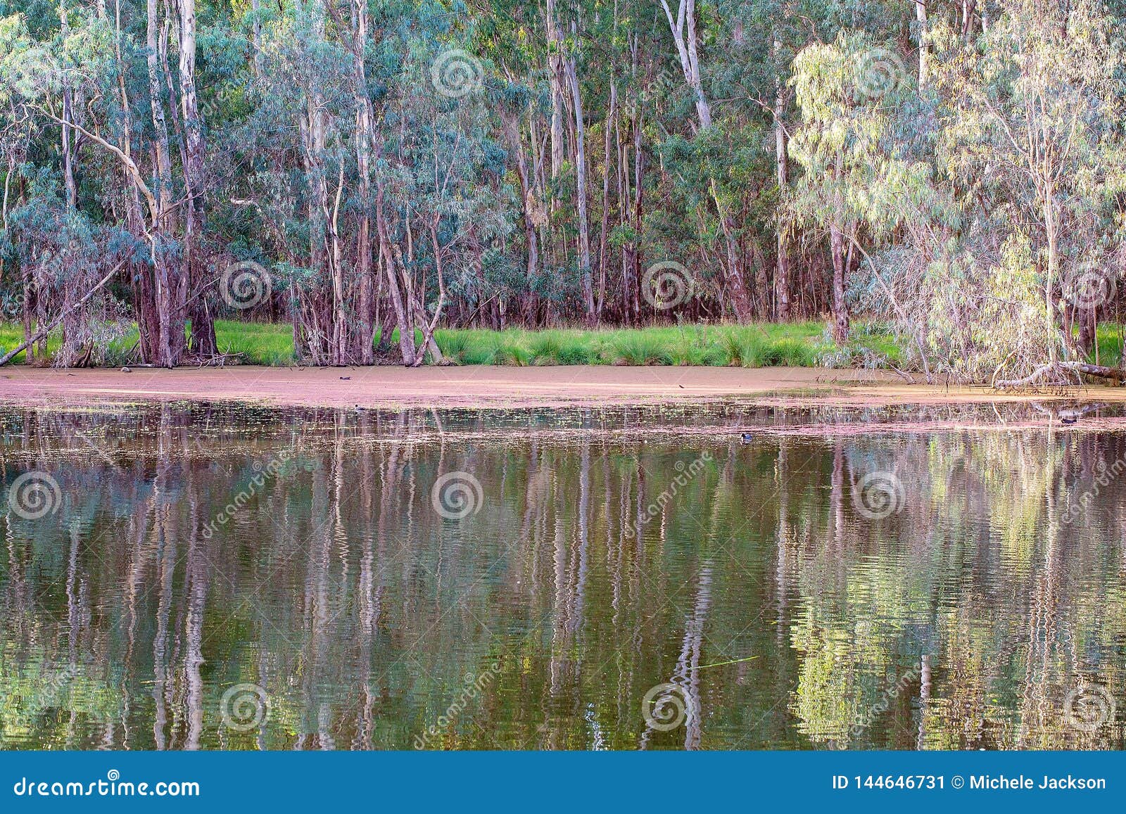 Still Water River Reflections Stock Image - Image of reflection ...