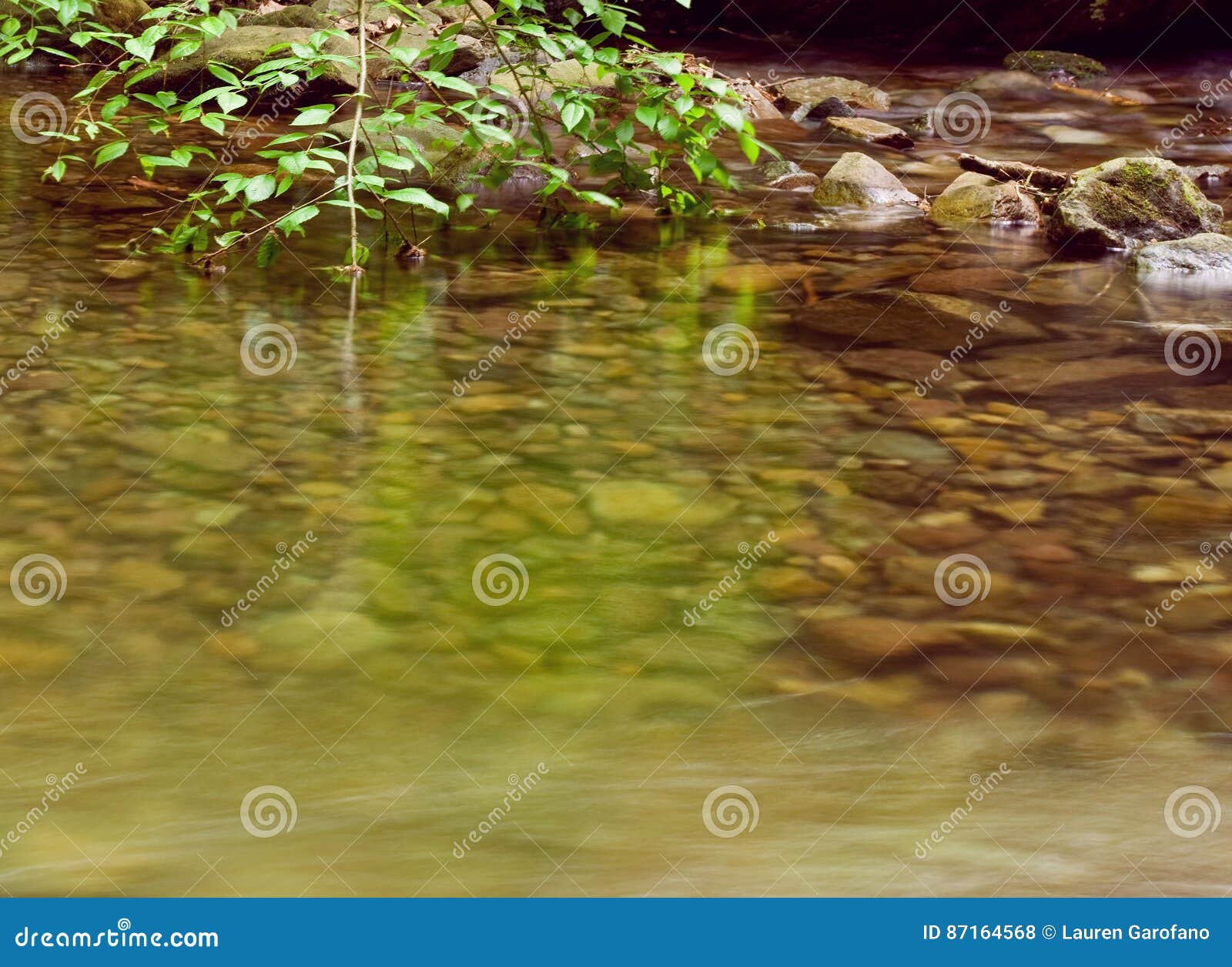 Still Water with River Rocks Stock Photo - Image of stream, water: 87164568