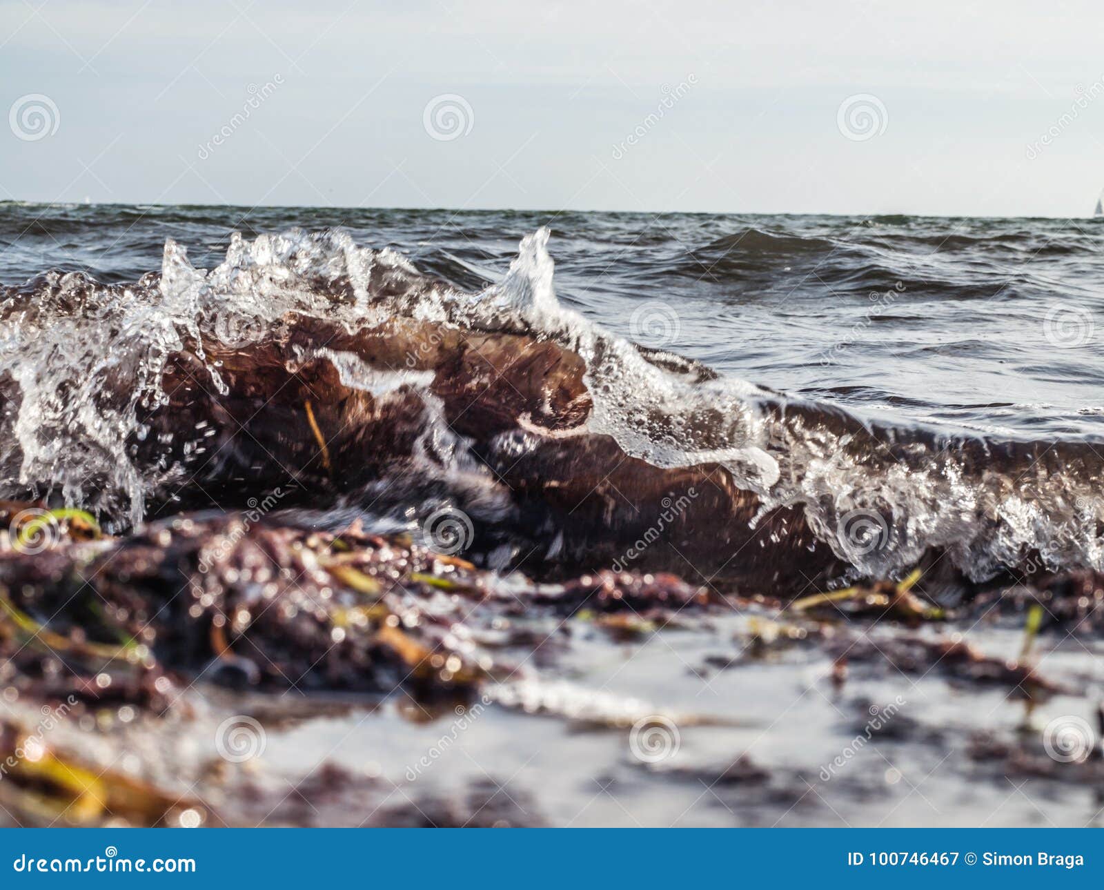 Still Wave stock image. Image of white, summer, macro - 100746467