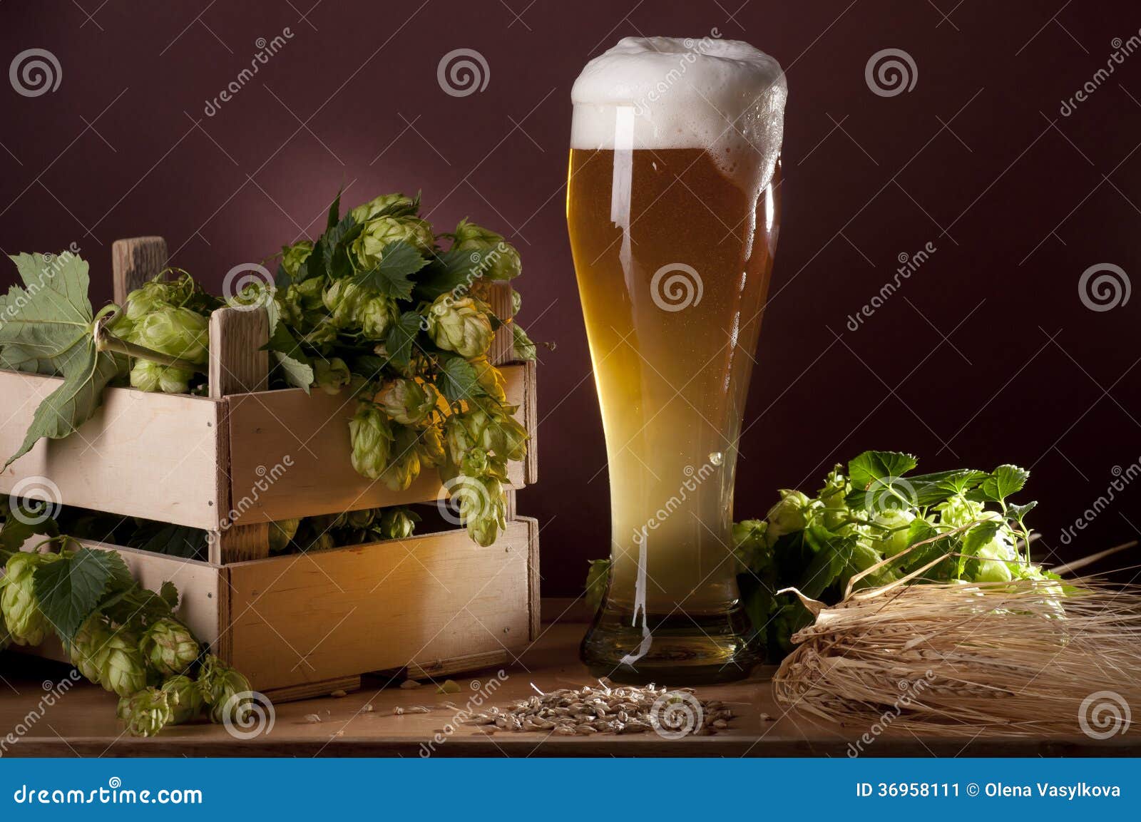 Stilleven met bier en hop stock afbeelding. Image of bitter - 36958111