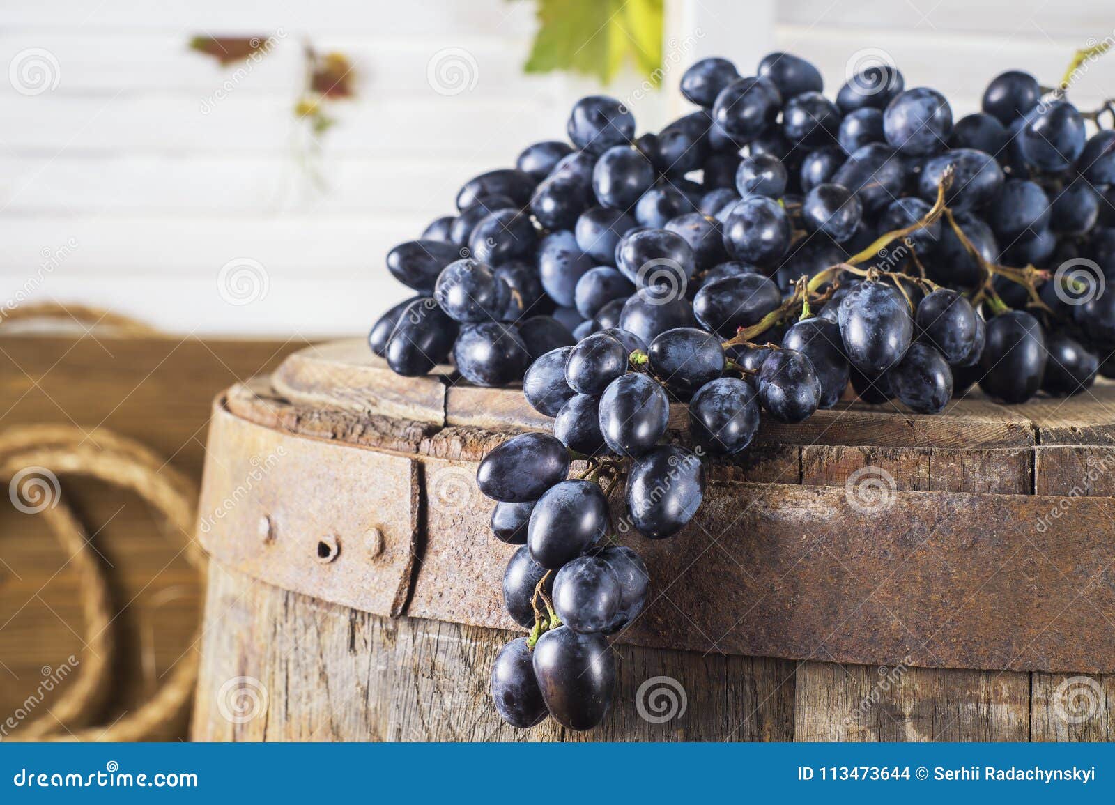 Stilleven Van Rode Druiven Op Een Houten Vat Stock Foto - Image of blad ...