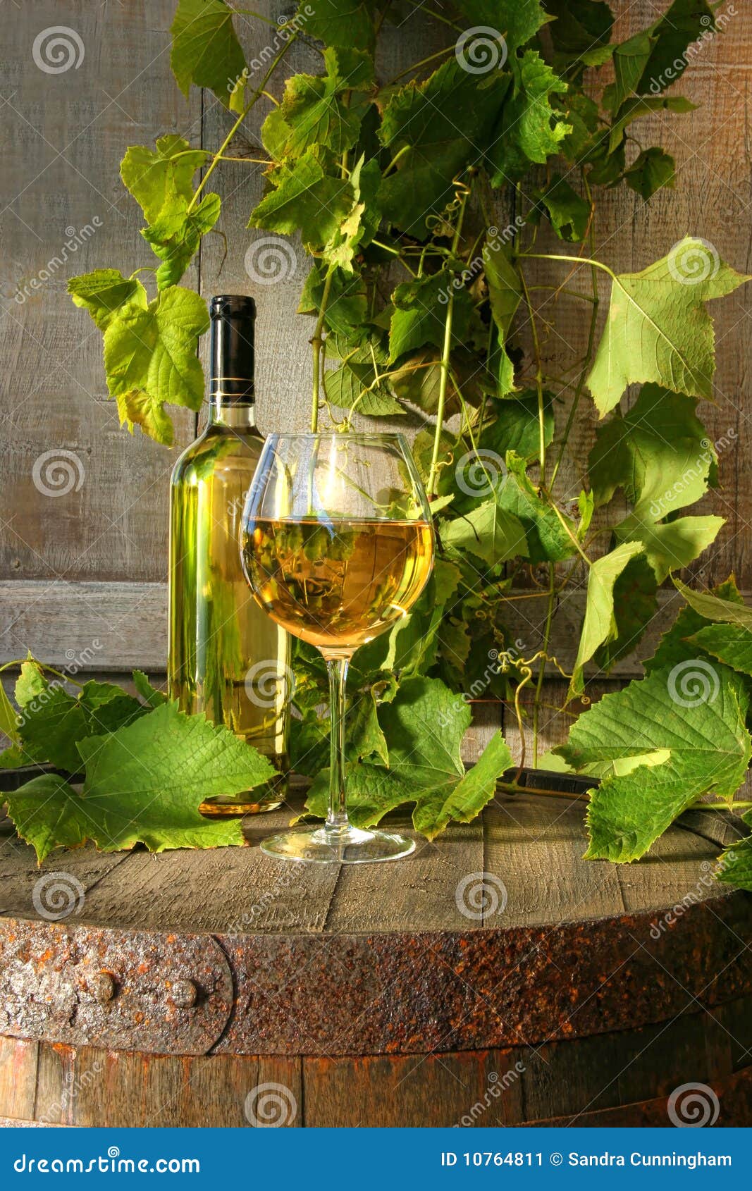 Stilleven Van Witte Wijn En Wijnstok Stock Afbeelding - Image of ...