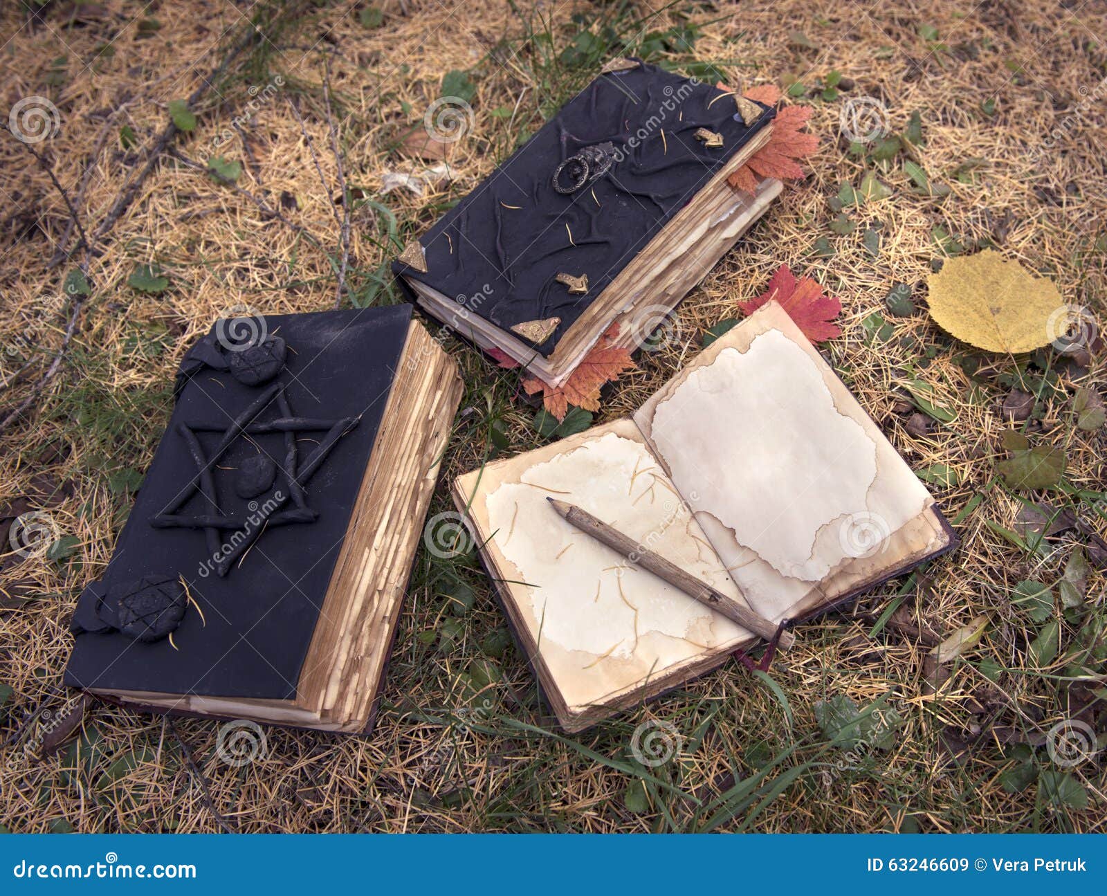 Stillleben Mit Magischem Buch Im Garten Stockbild - Bild von speicher ...