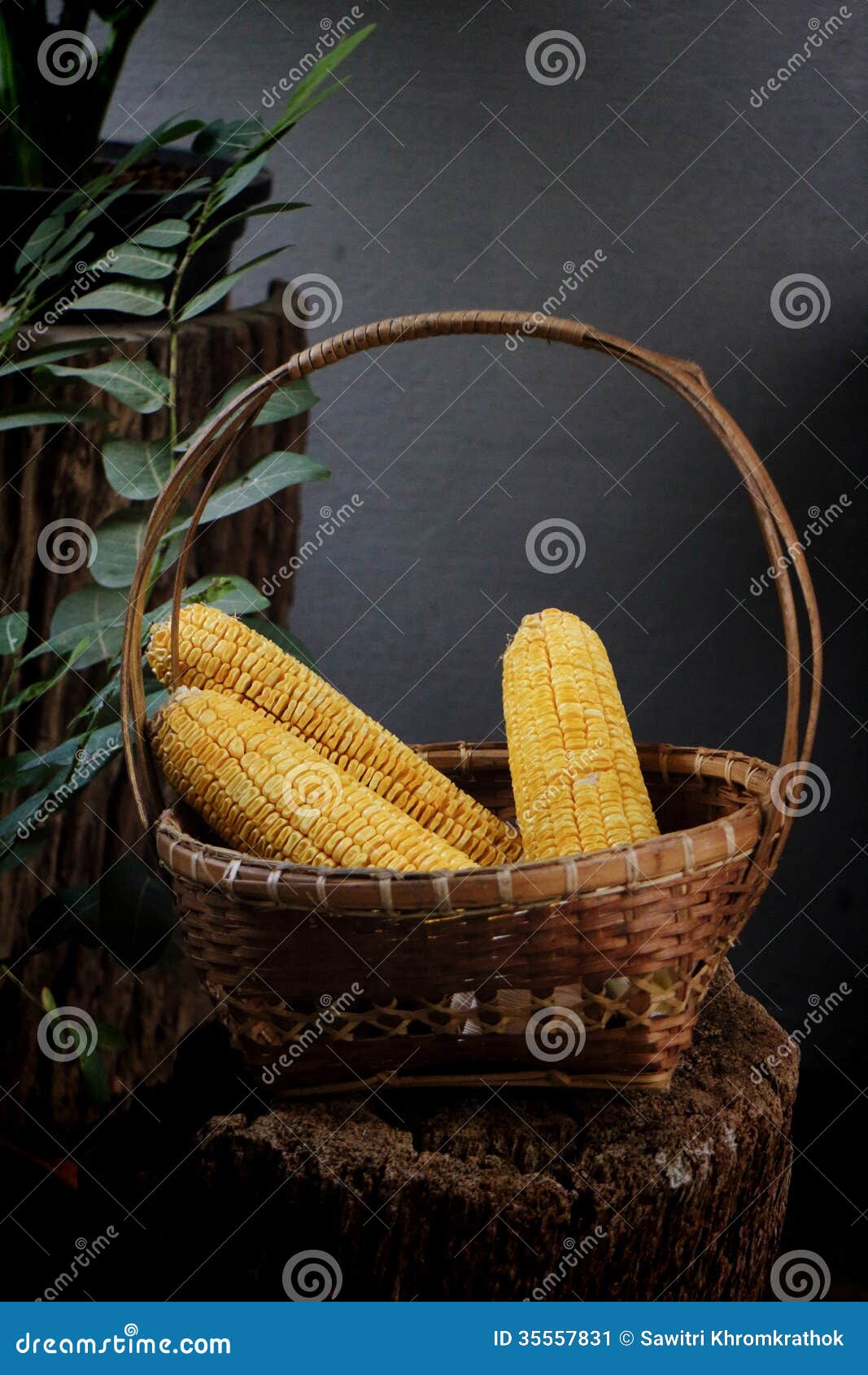 Stillleben Mit Mais Im Korb Stockbild - Bild von anstrich, korb: 35557831