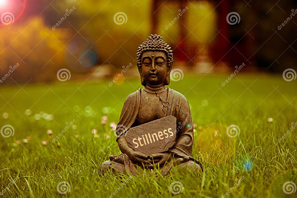 Stillness stock image. Image of confidence, mindful, asian - 57391285