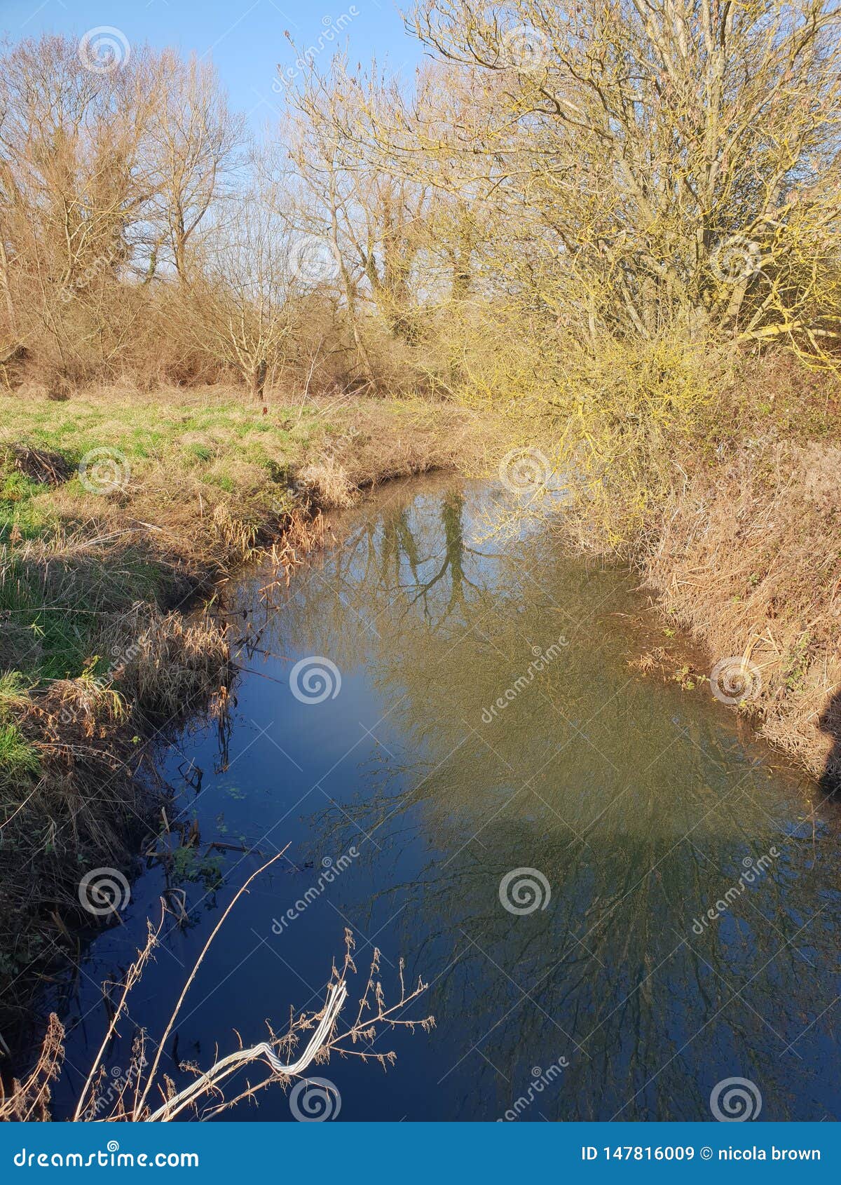 The stillness of a river stock image. Image of river - 147816009