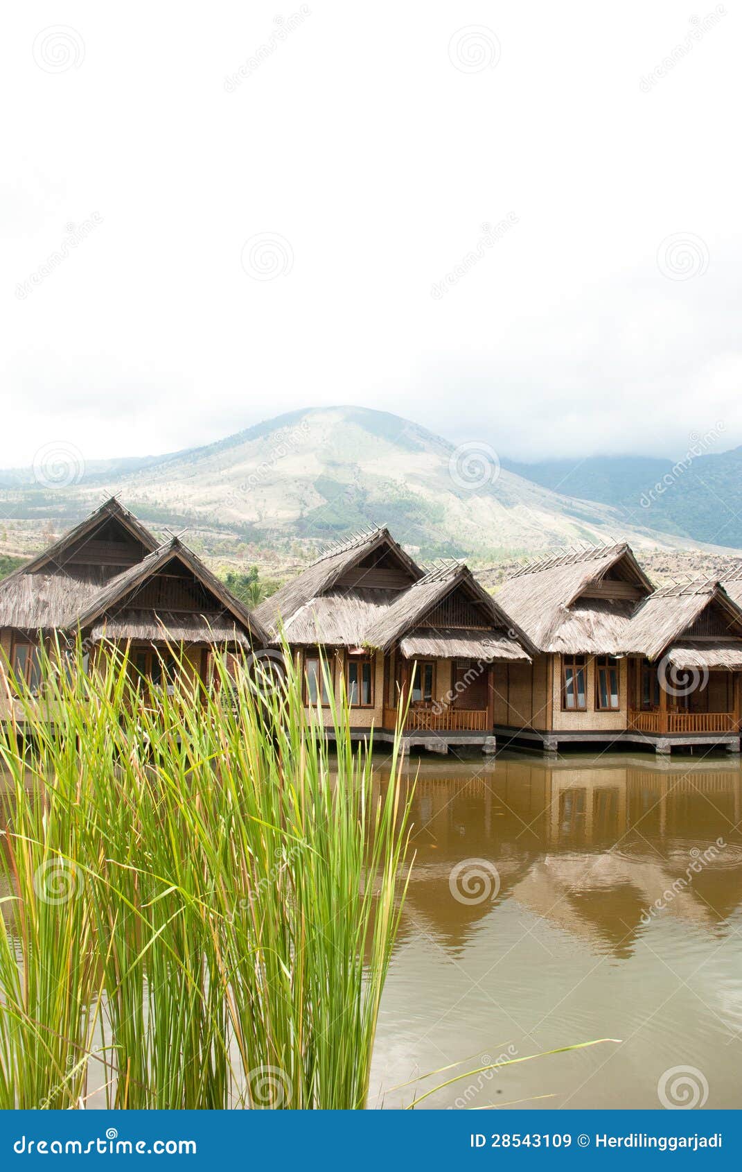 Stilt house stock image. Image of home, pool, lake, dwelling - 28543109