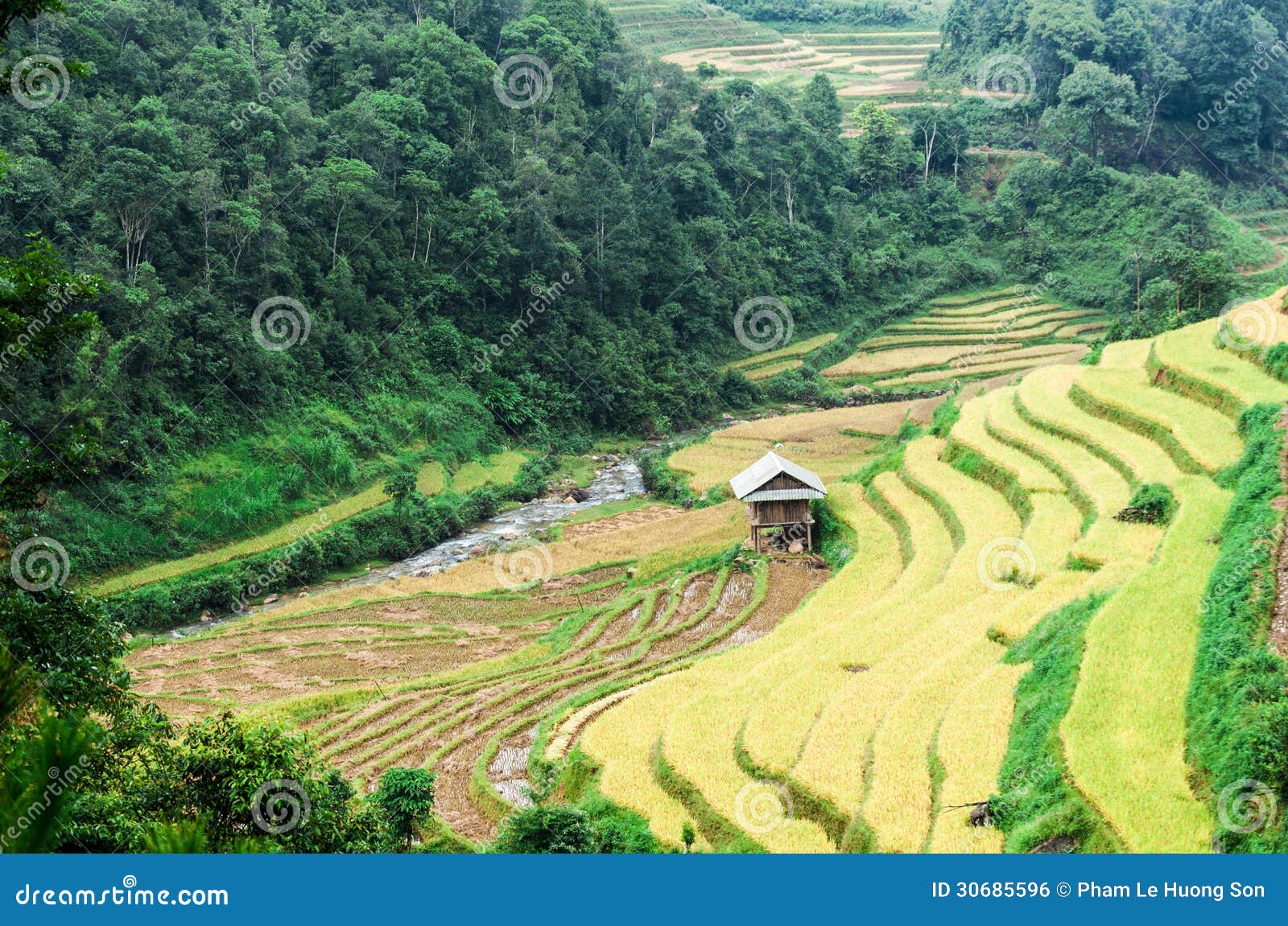 Stilt House on the Rice Terraces Filed Stock Photo - Image of hill ...