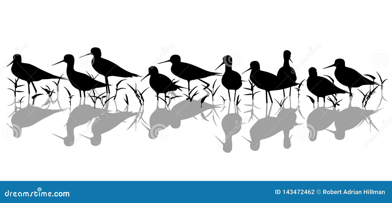 Stilt Waders in Marsh Silhouette Stock Vector - Illustration of ...