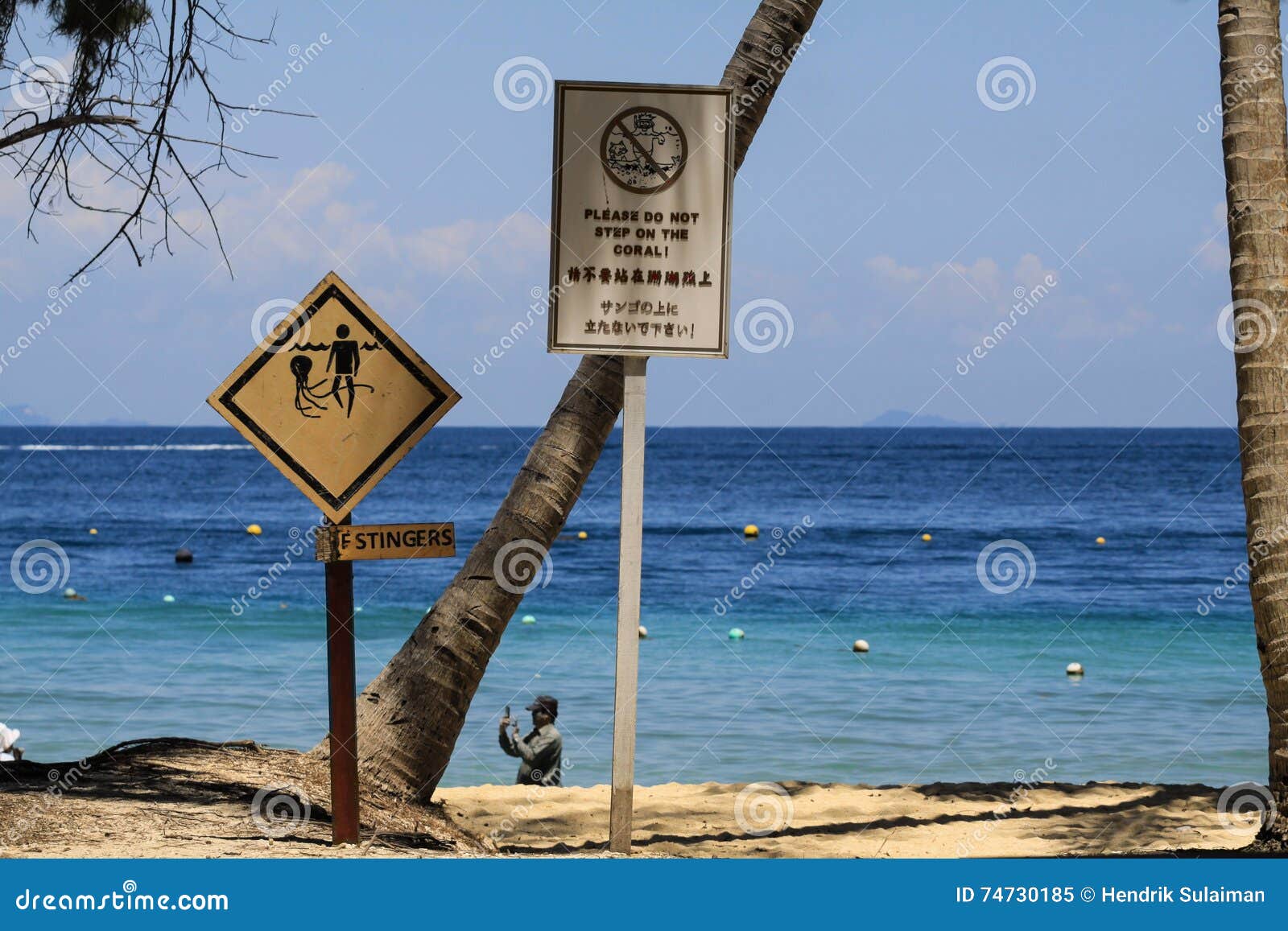 Stingers sign at beach stock image. Image of sign, warning - 74730185
