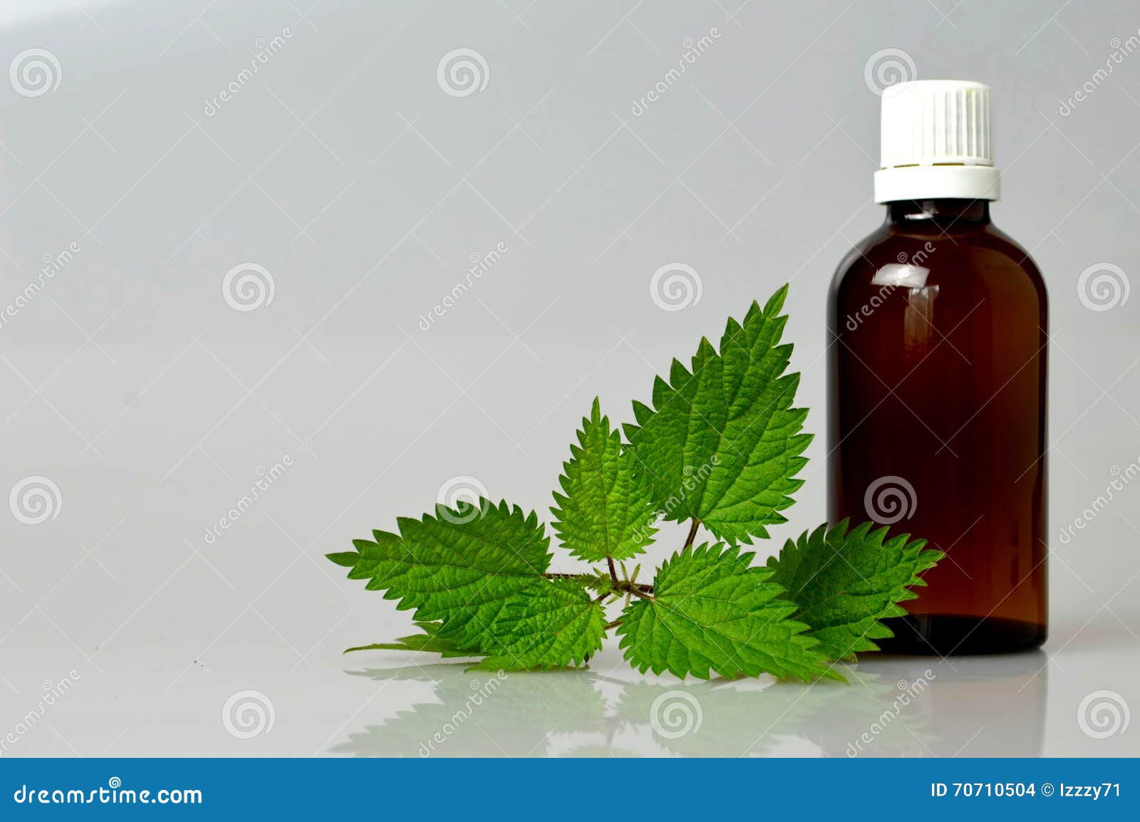 Stinging Nettle Essential Oil Stock Photo - Image of organic ...