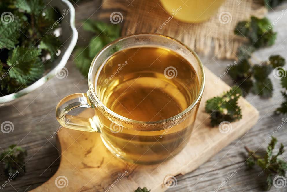 Stinging Nettle Tea in a Glass Cup Stock Image - Image of weed, drink ...