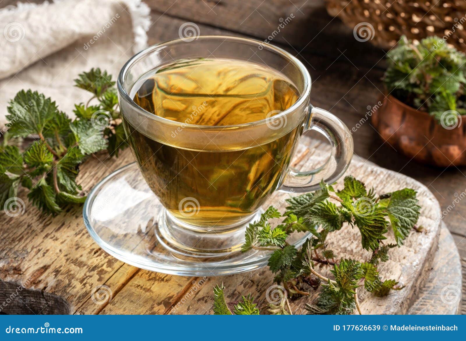 Stinging Nettle Tea in a Glass Cup Stock Image - Image of herbal, table ...