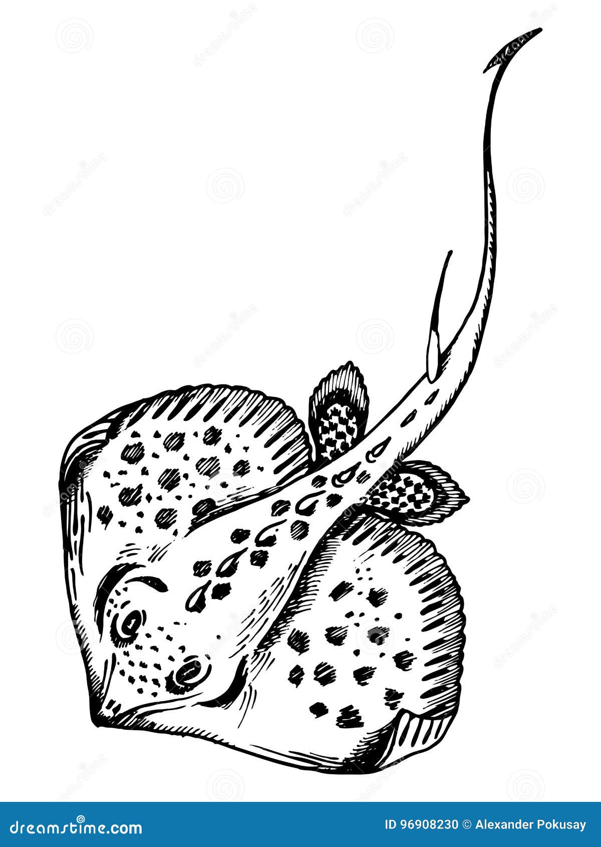 Stingray Fish, Sea Fox Continuous Line Drawing. One Line Art Of ...