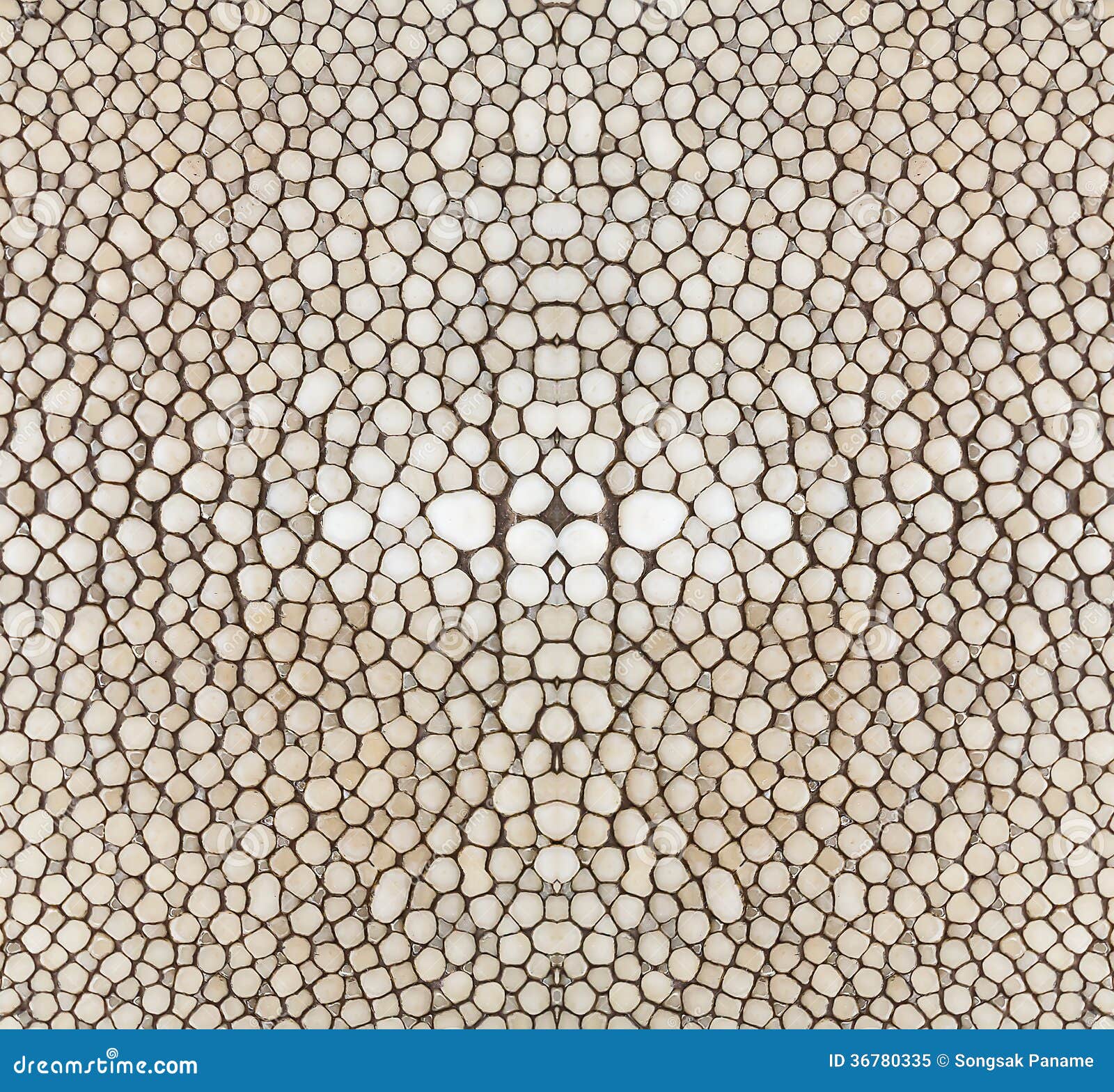 Stingray skin texture stock image. Image of nature, texture - 36780335