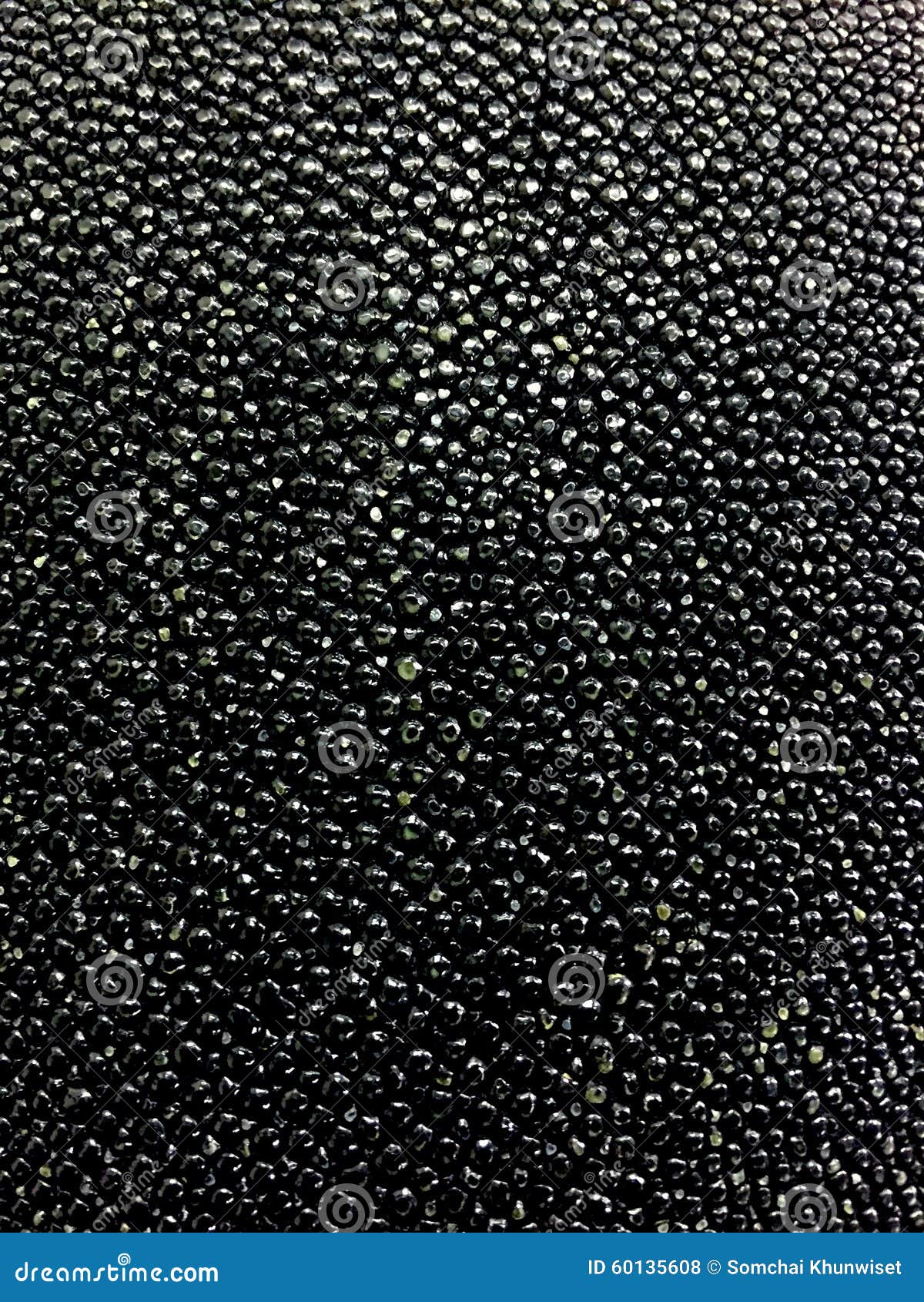 Stingray skin texture stock photo. Image of fashion, leather - 60135608