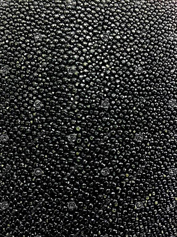 Stingray skin texture stock photo. Image of fashion, leather - 60135608