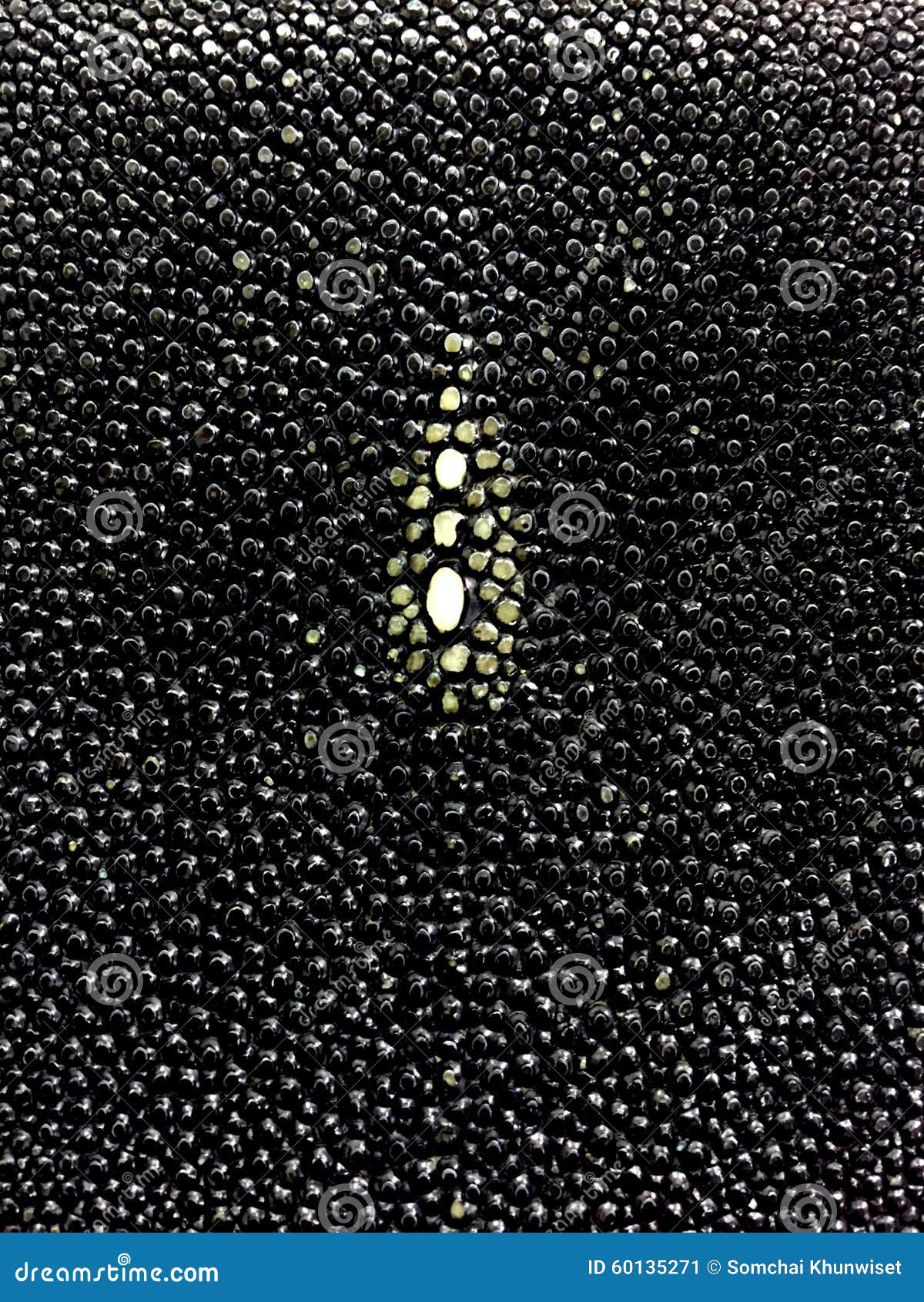 Stingray skin texture stock image. Image of background - 60135271