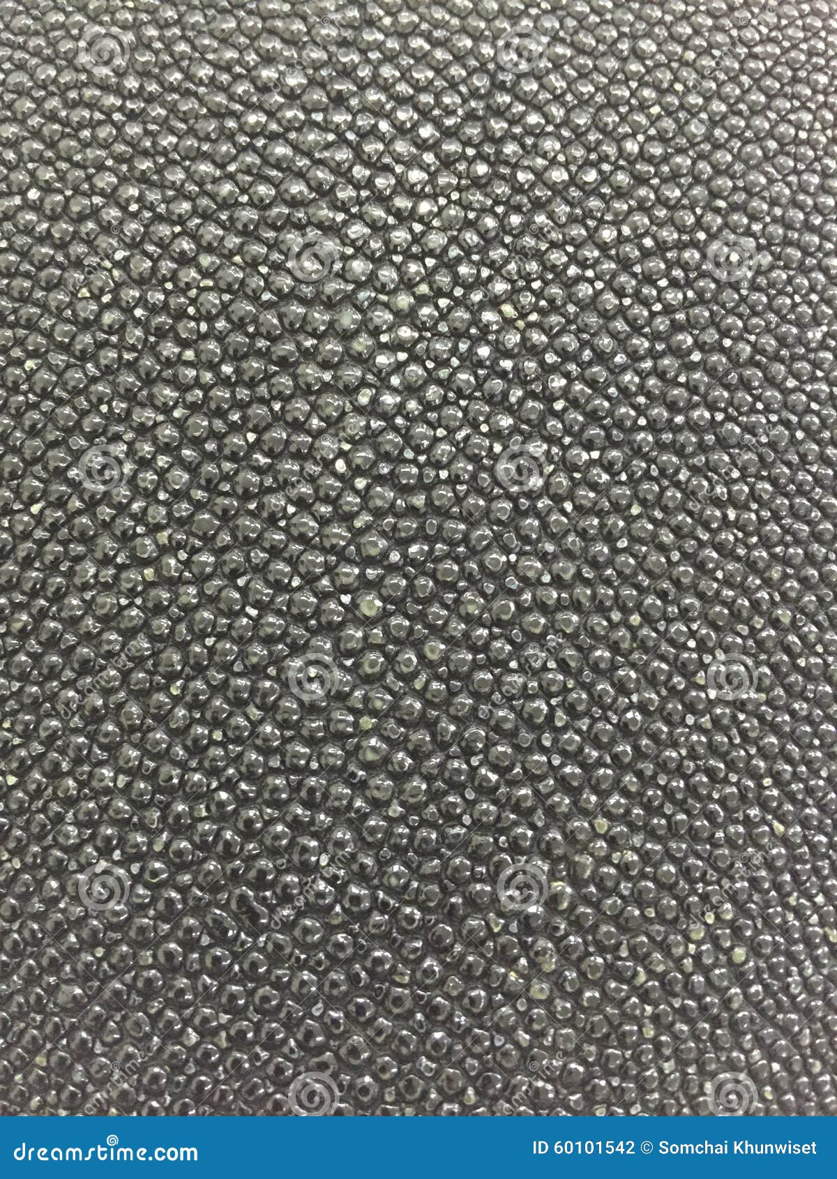 Stingray Skin Texture Stock Photography | CartoonDealer.com #60135608