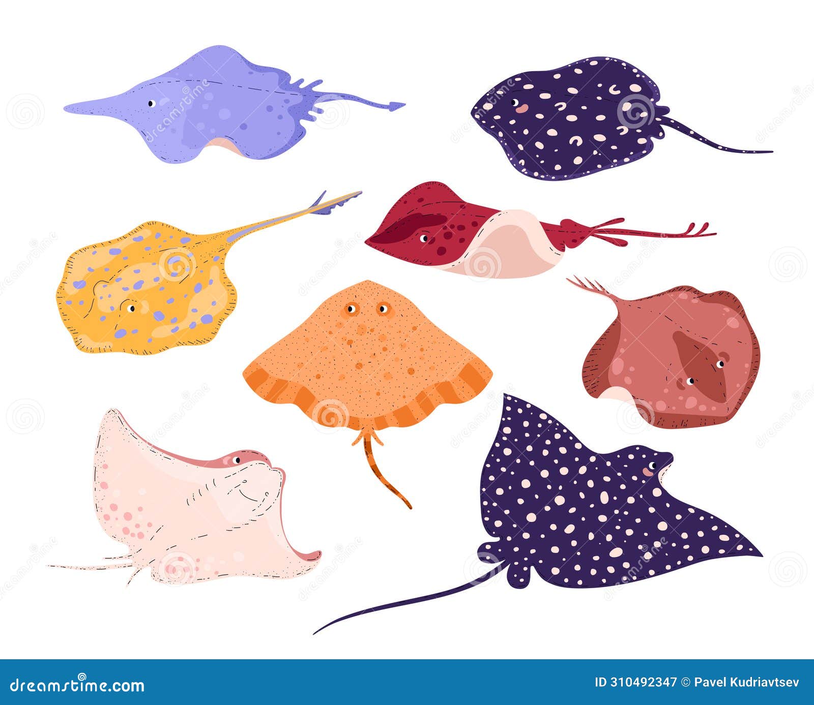 Stingrays, Set of Vector Illustration Isolated on White, Flat Cartoon ...
