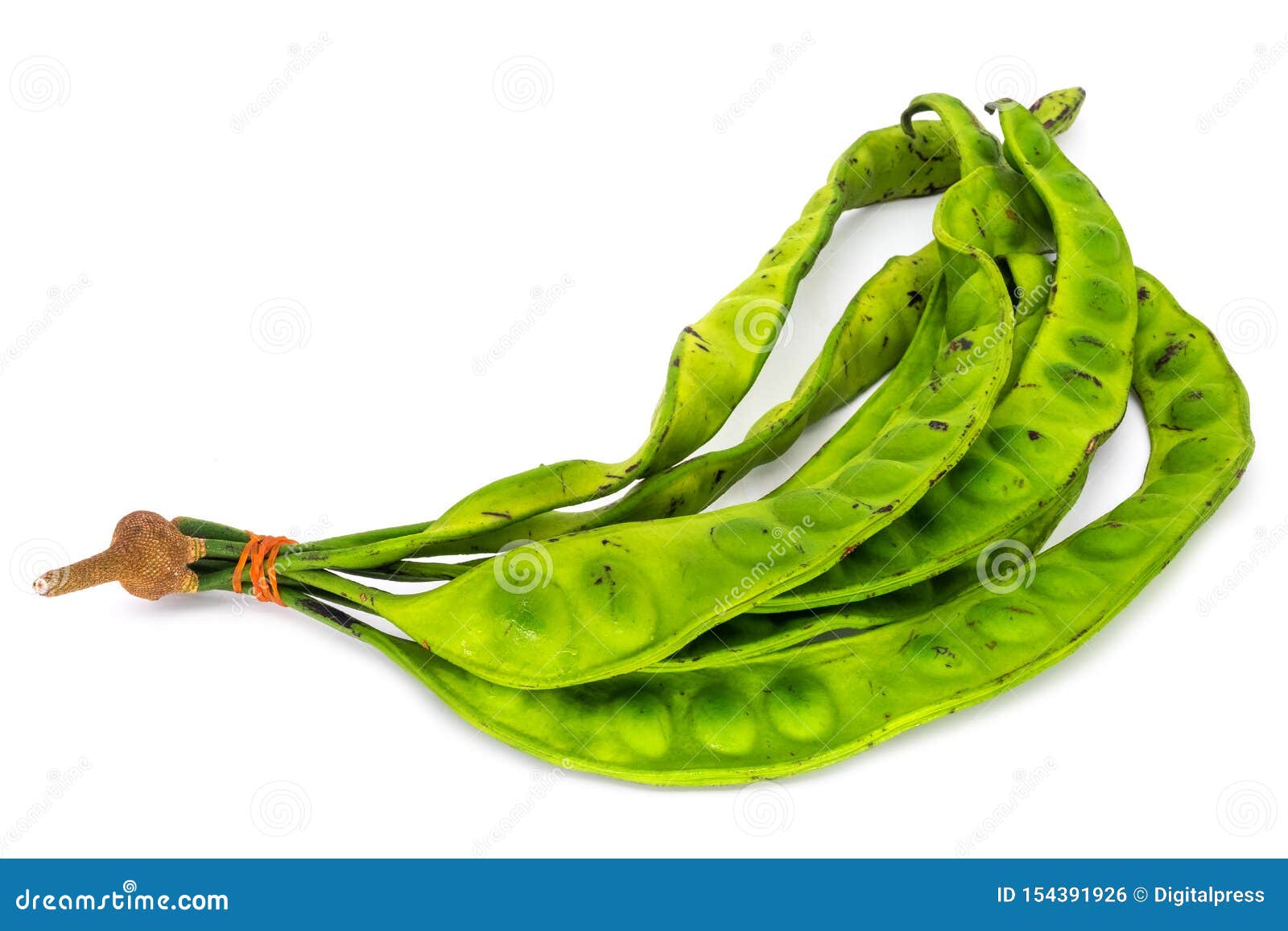 Stink Bean Or Parkia Speciosa IV Royalty-Free Stock Photography ...
