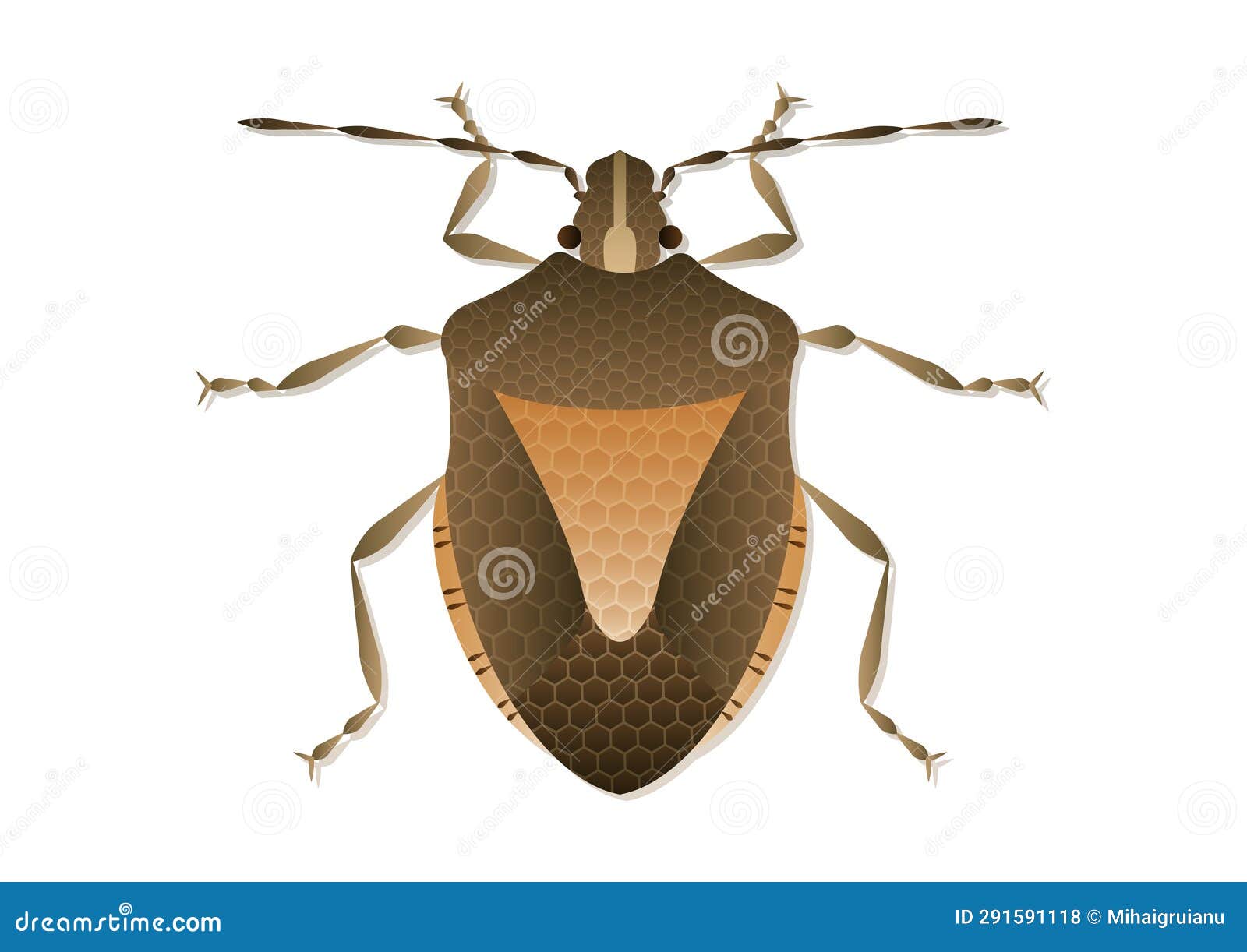 Stink Bug Vector Art Isolated on White Background Stock Illustration ...