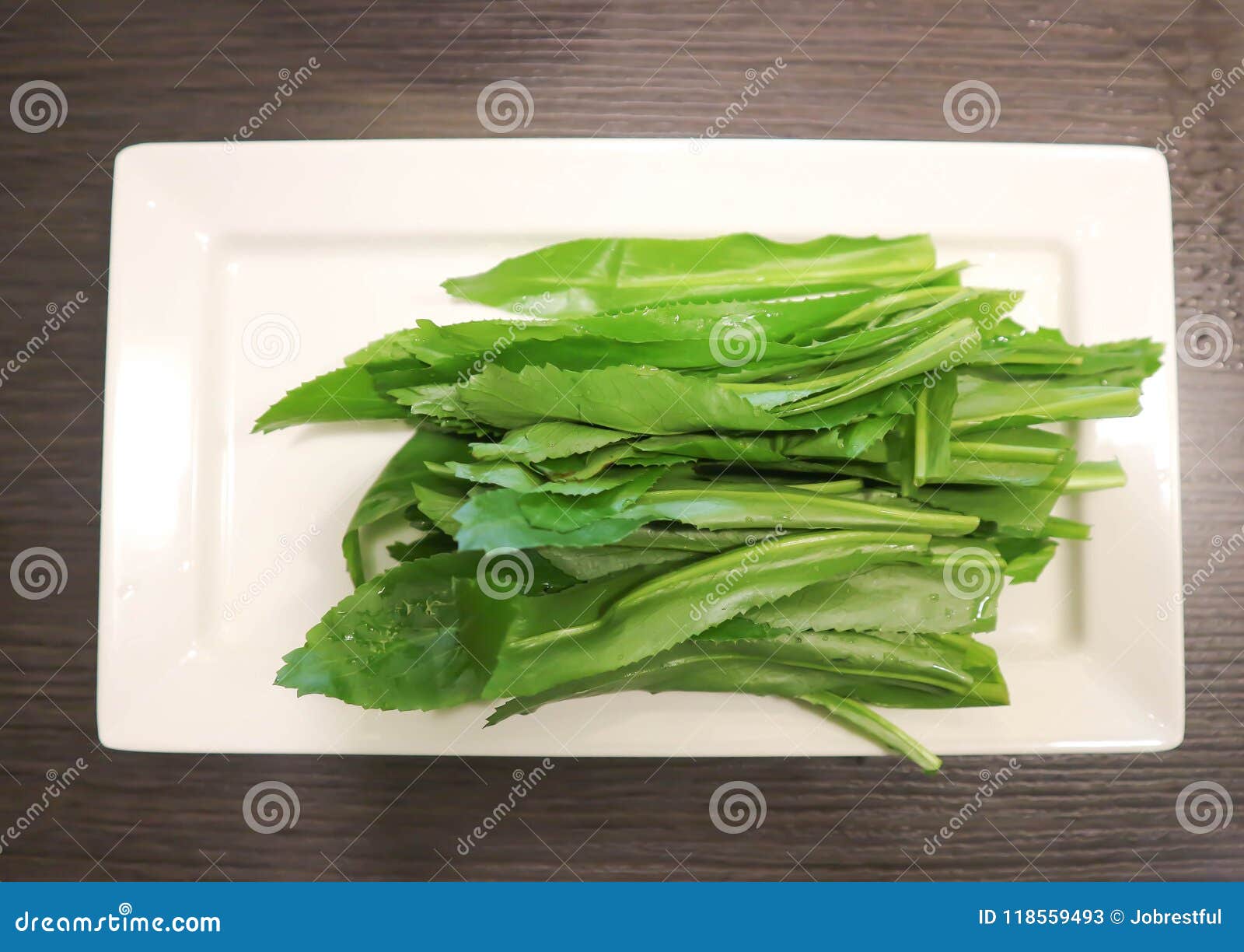 Stink Weed or Coriander or Cilantro Stock Image - Image of sawtooth ...