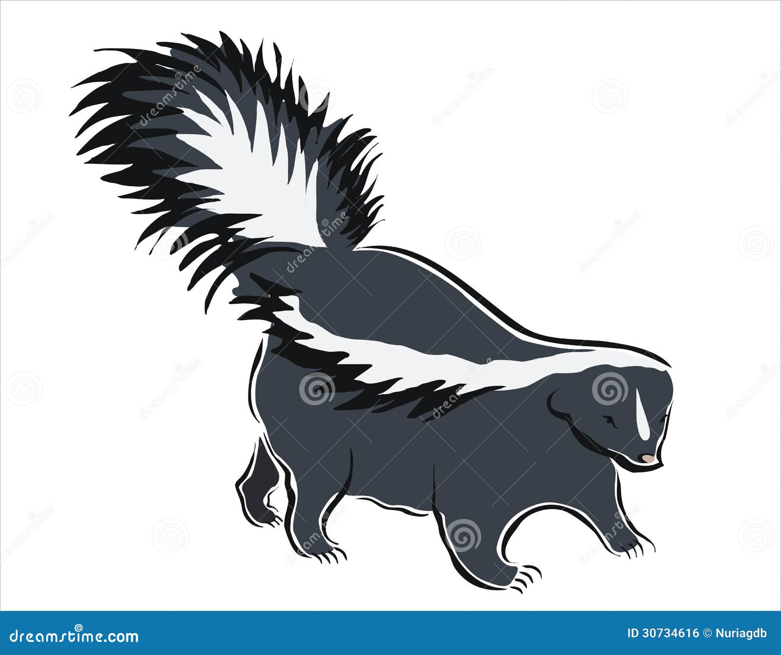 Stinktier vektor abbildung. Illustration von fauna, zeichnung - 30734616