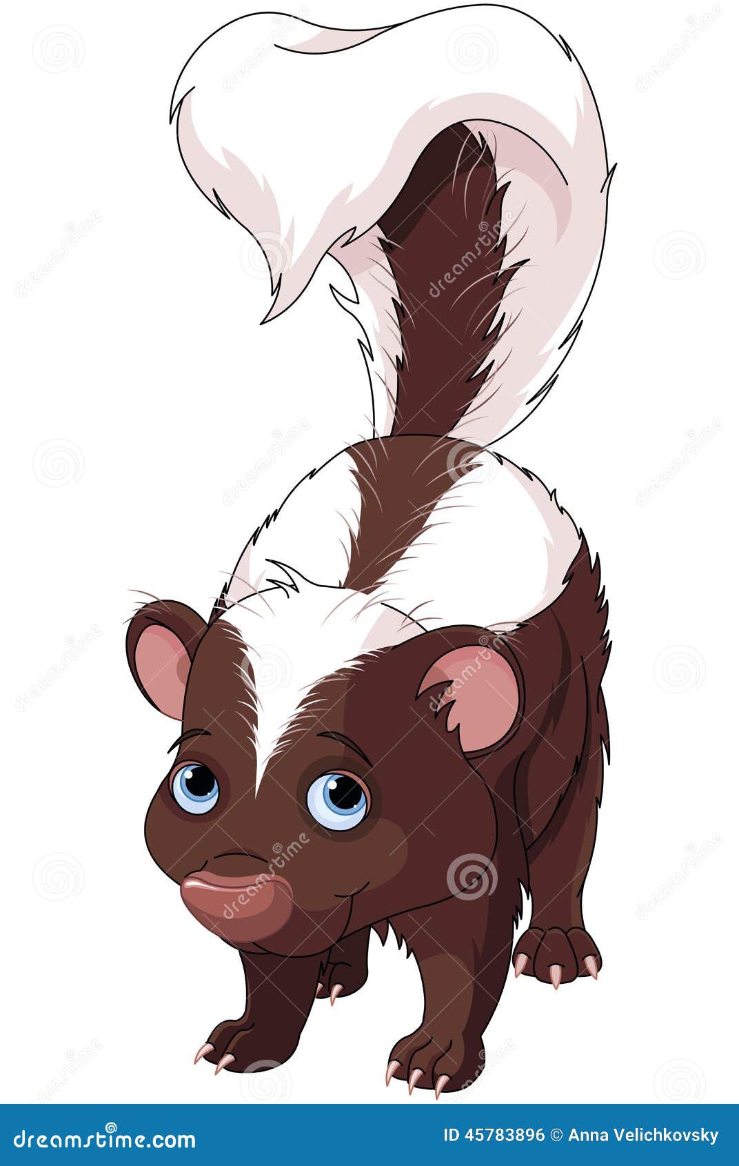 Stinktier vektor abbildung. Illustration von nett, clips - 45783896