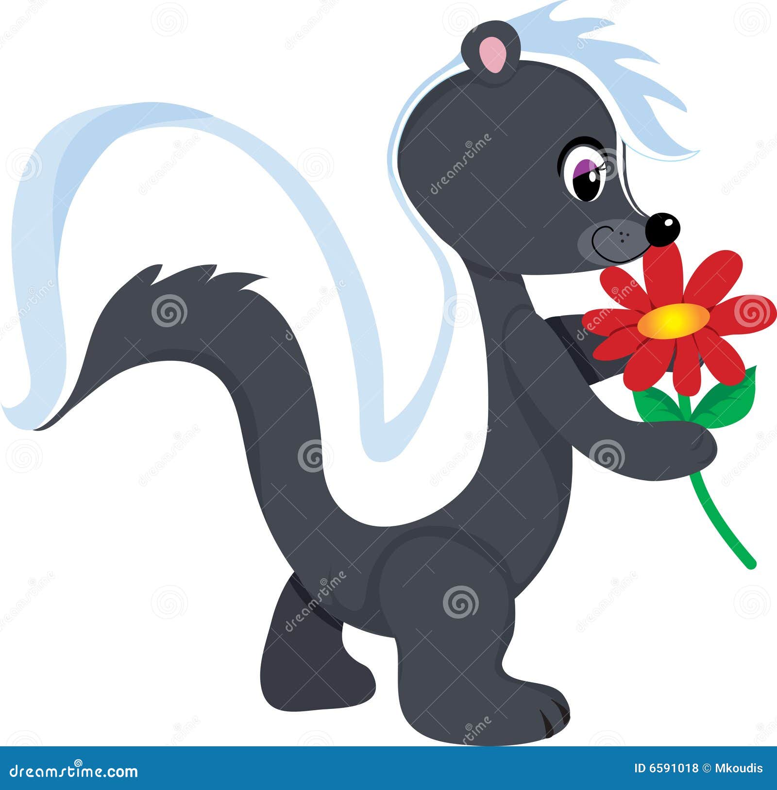 Stinktier-Blume vektor abbildung. Illustration von blume - 6591018