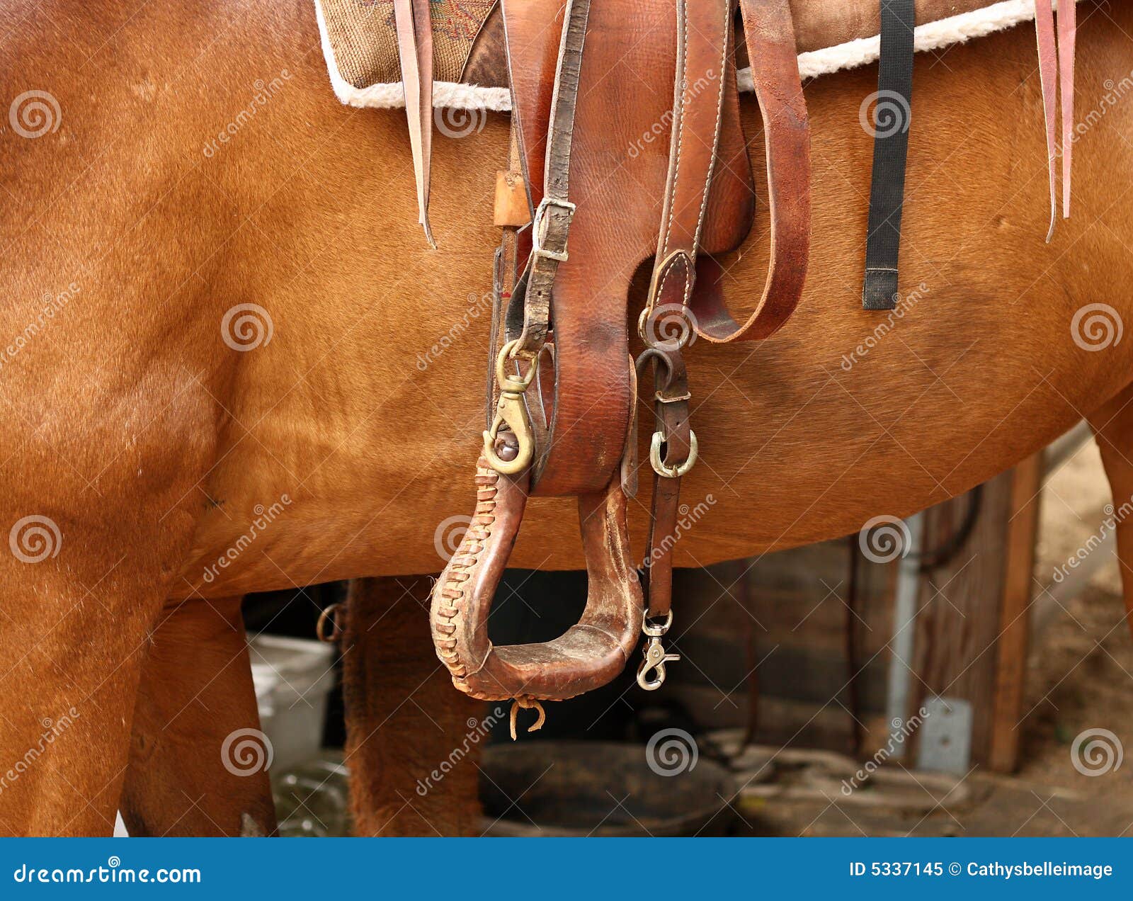 Stirrup stock image. Image of stirrup, equipment, close - 5337145